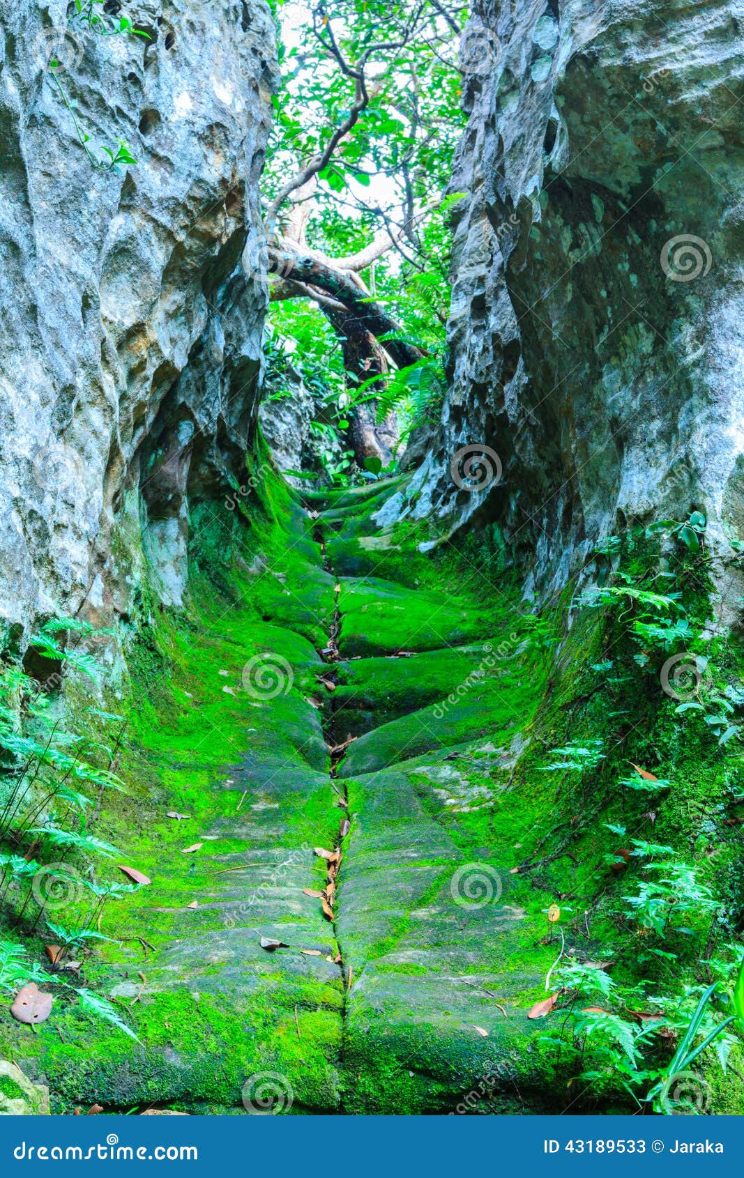 Corridor between the rock stock image. Image of gloomy - 43189533