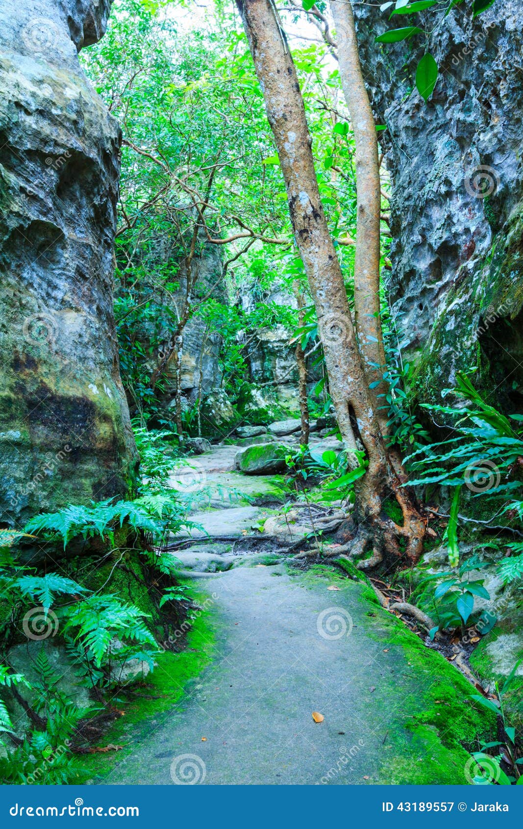 Corridor between the rock stock image. Image of landscape - 43189557