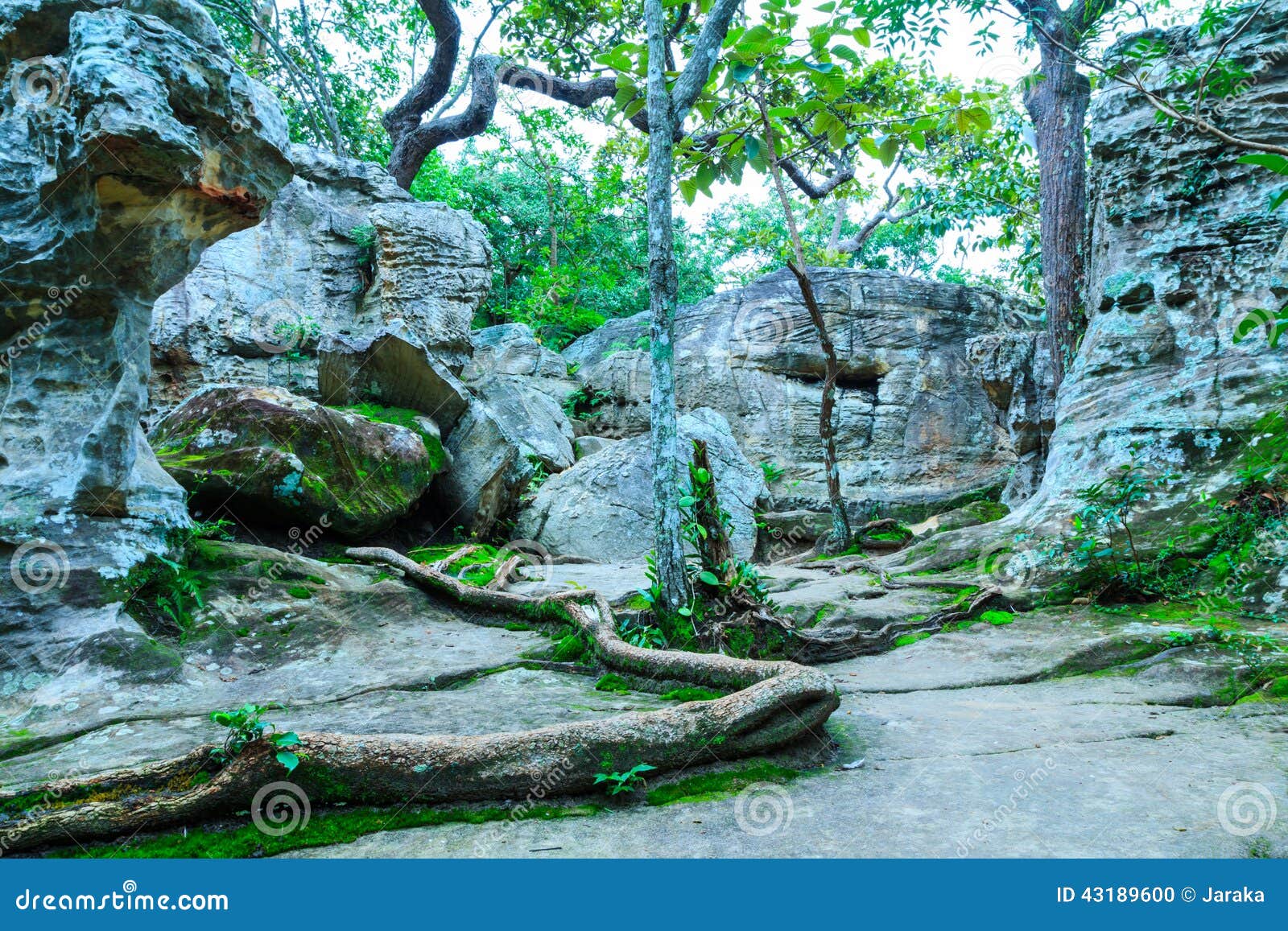 Corridor between the rock stock photo. Image of landscape - 43189600