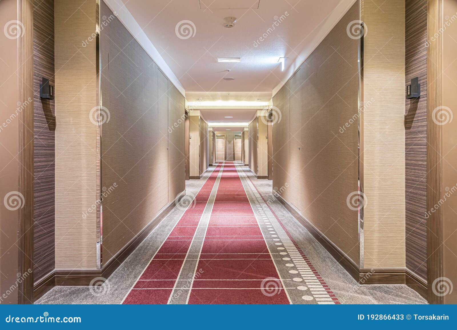 Corridor between rooms stock image. Image of decor, background - 192866433