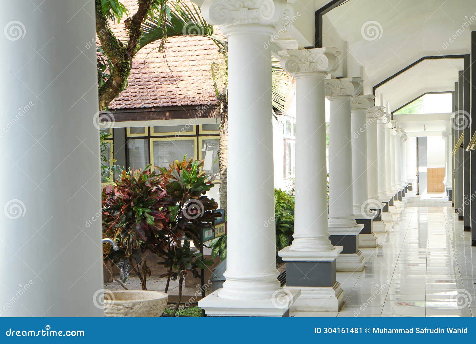 Corridor Way with White Pillar Column Stock Image - Image of people ...