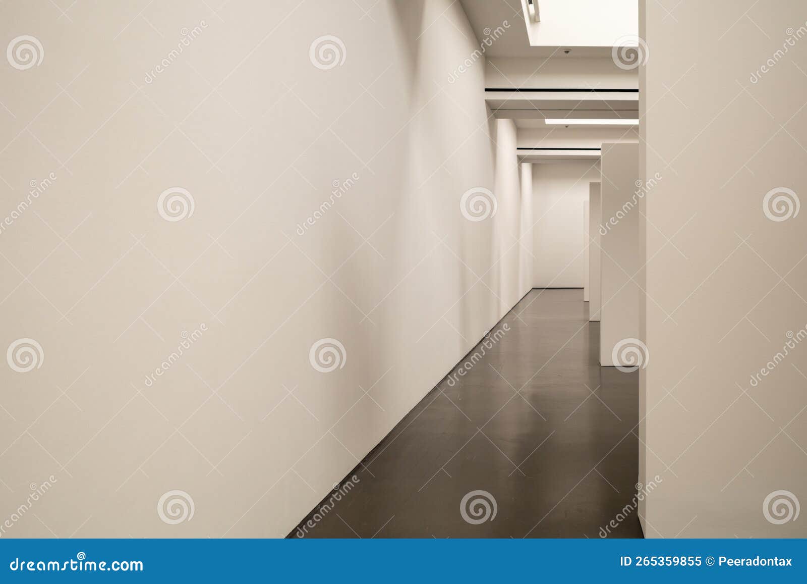 Corridor between White Wall and Partitions Inside Gallery Space. Stock ...