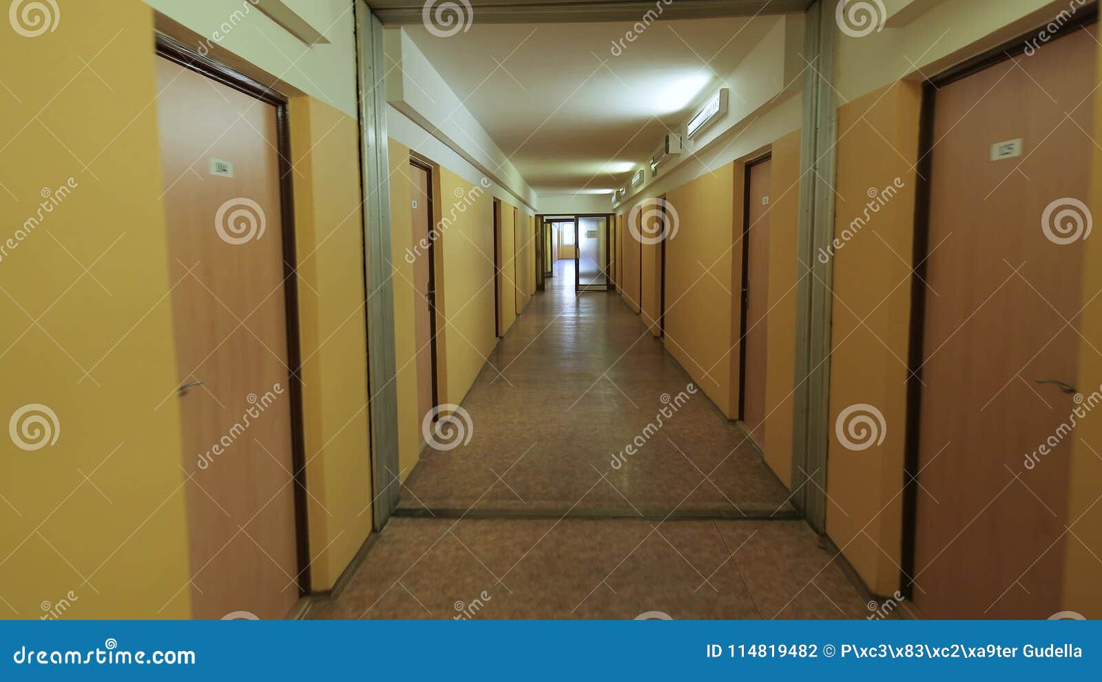 Corridor with yellow walls stock footage. Video of hospital - 114819482