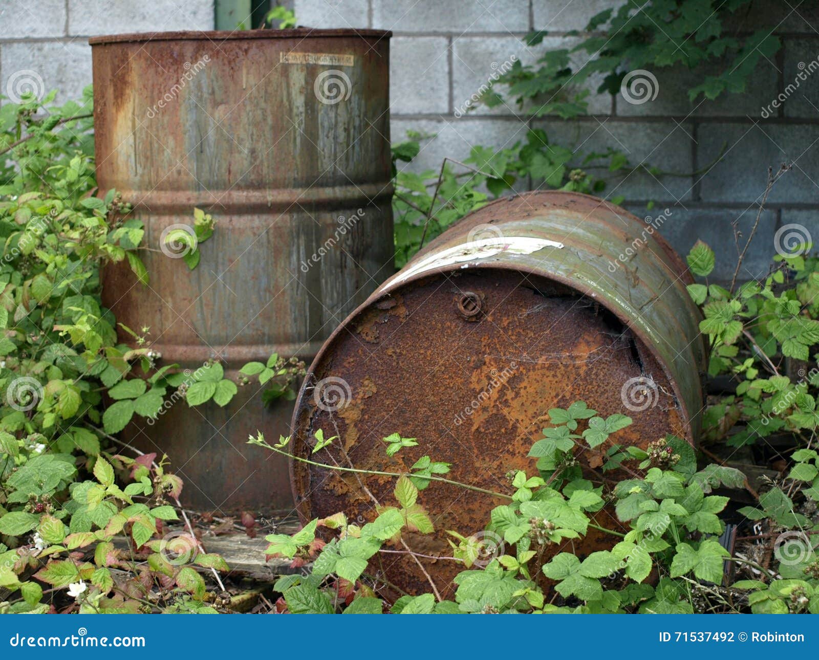 Metal barrels stock photo. Image of rusting, corroded - 71537492