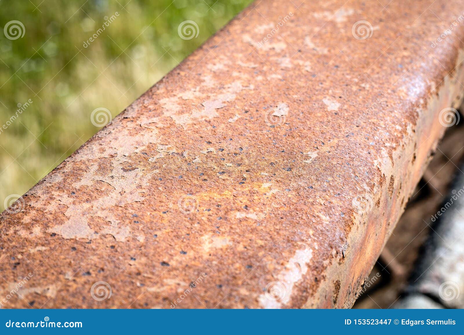 Corroded Railing At A Pond With Trees In The Background In A Unkempt ...
