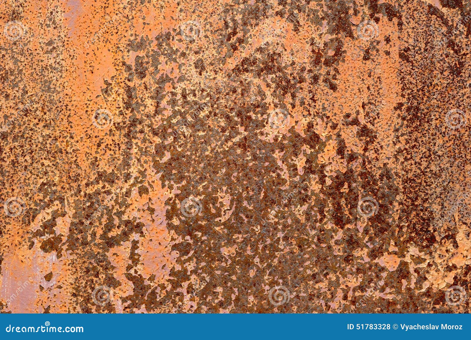 Corroded Metal Sheet stock photo. Image of decay, paint - 51783328