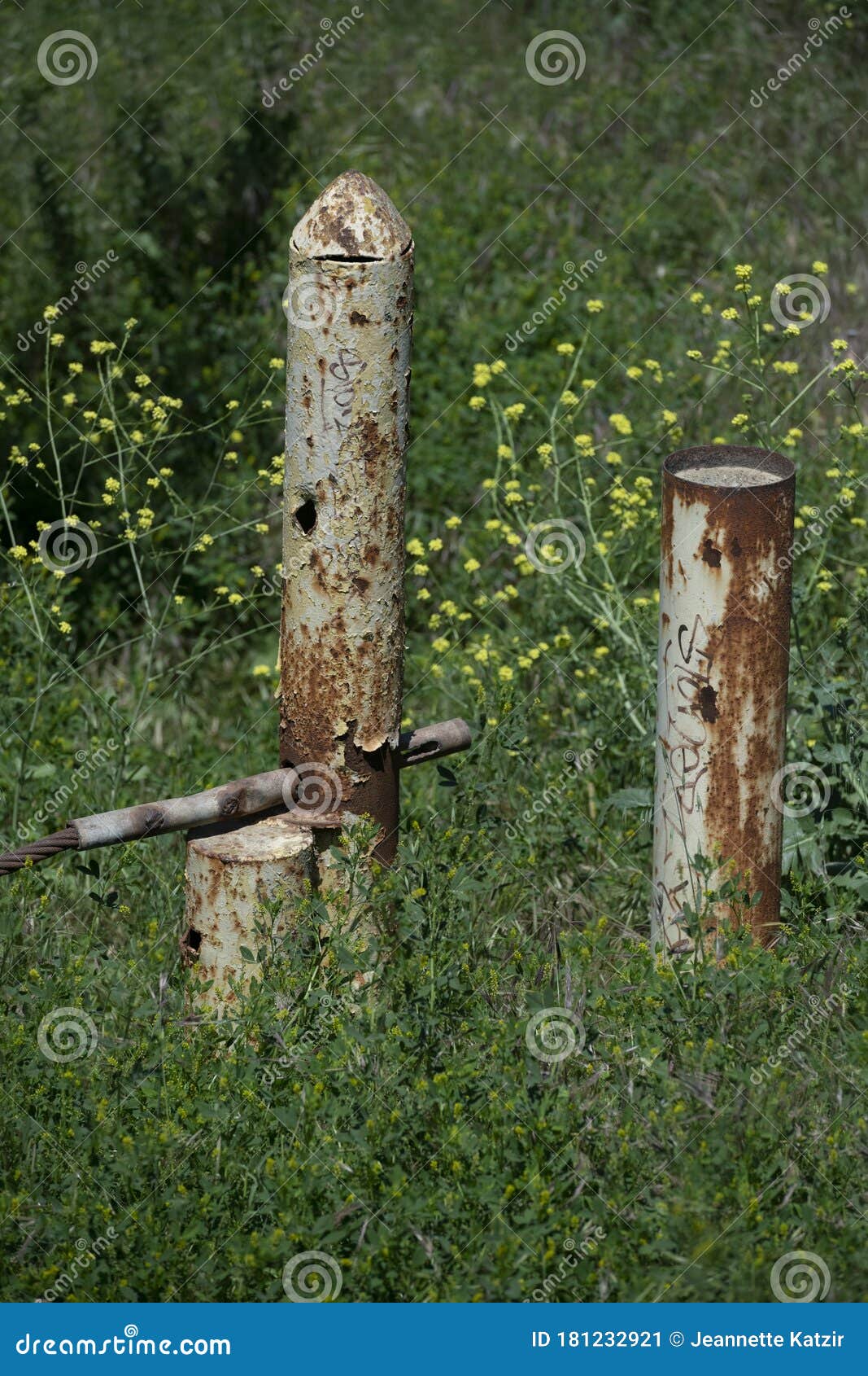 Corroded Posts Inside a Field of Wild Mustard Stock Image - Image of ...