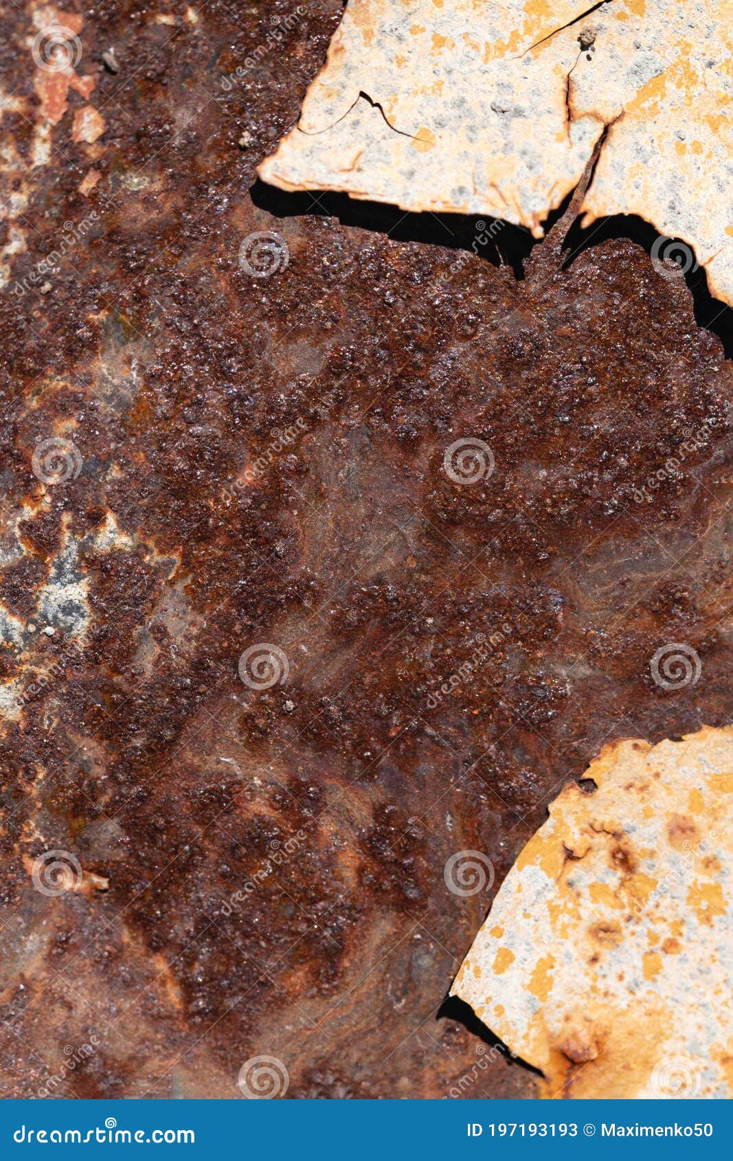 Corroded Rusty White Metal Surface Background. Rust Stains Stock Image ...