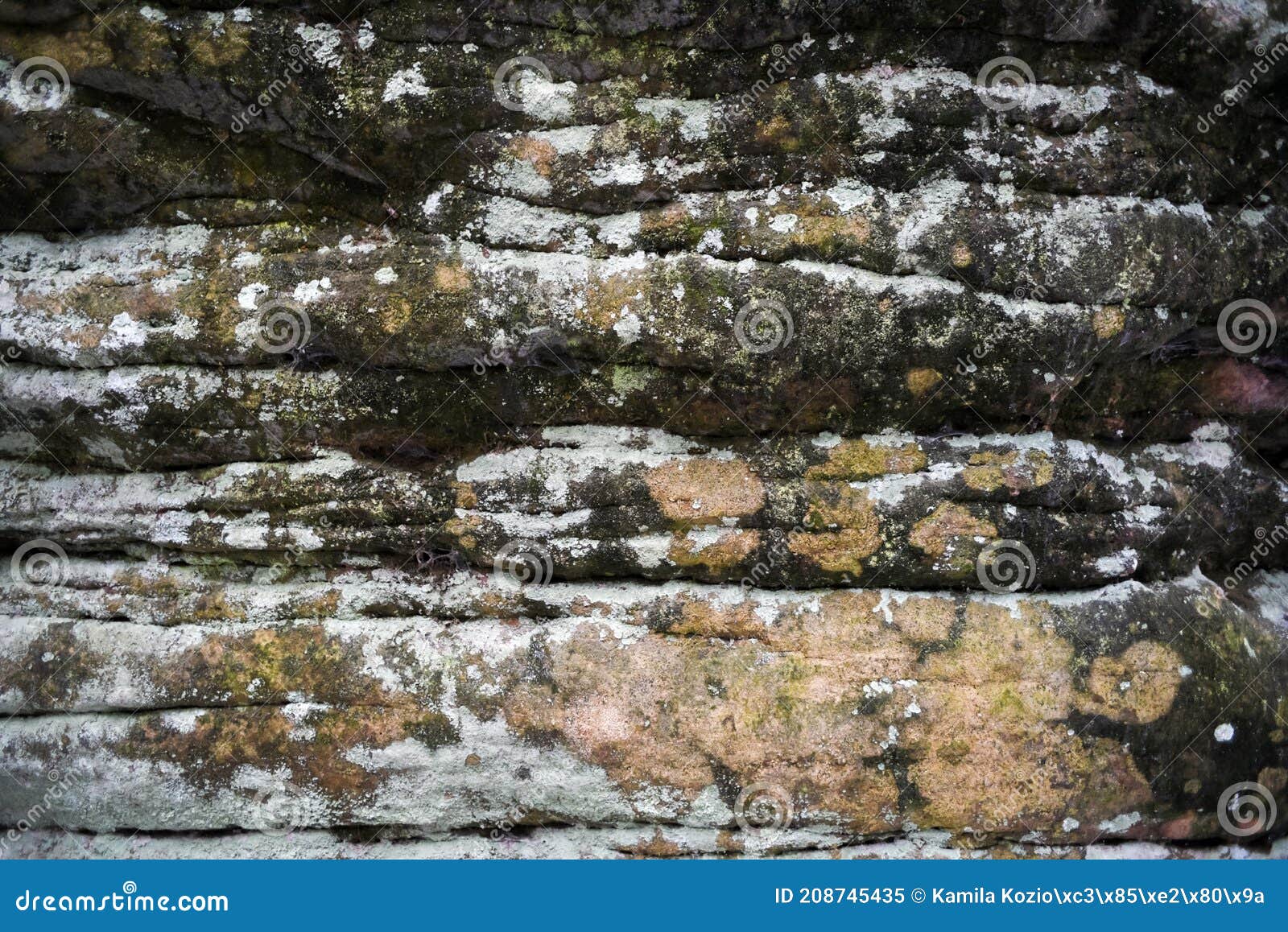 .Corroded Sandstone Rock in the Forest Texture Stock Image - Image of ...