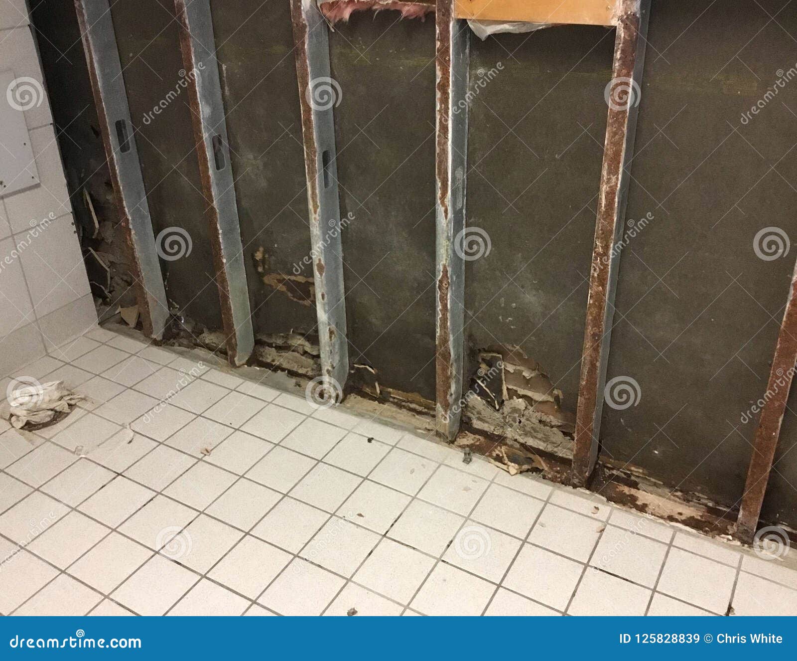 Corroded Steel Studs and Mold on Sheetrock Stock Image - Image of ...