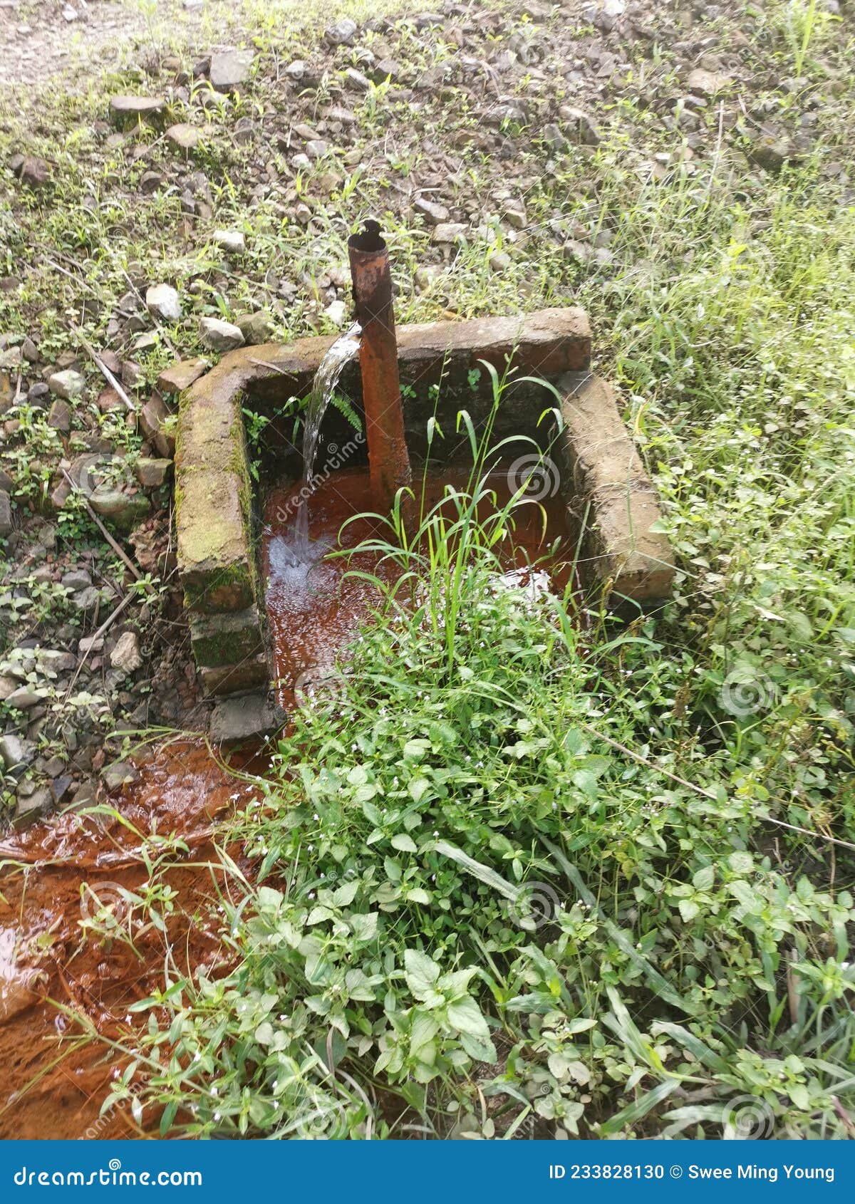 Corroded Water Leakage Pipe at the Farm Stock Photo - Image of piping ...