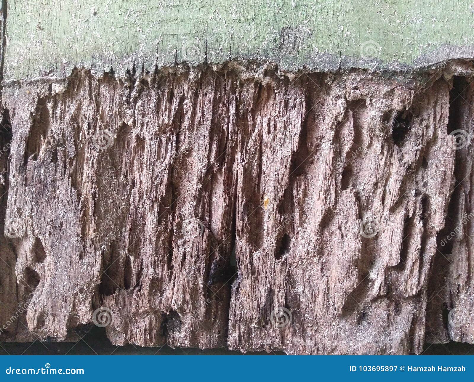 Wood stock image. Image of exposed, water, corrosion - 103695897