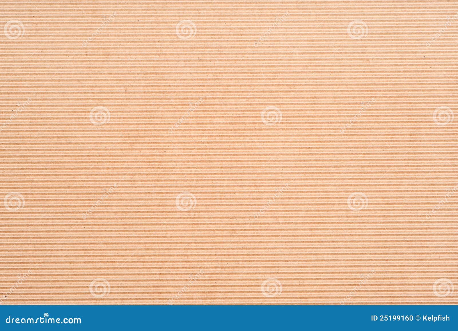 Corrugated cardboard stock photo. Image of ridges, ridged - 25199160