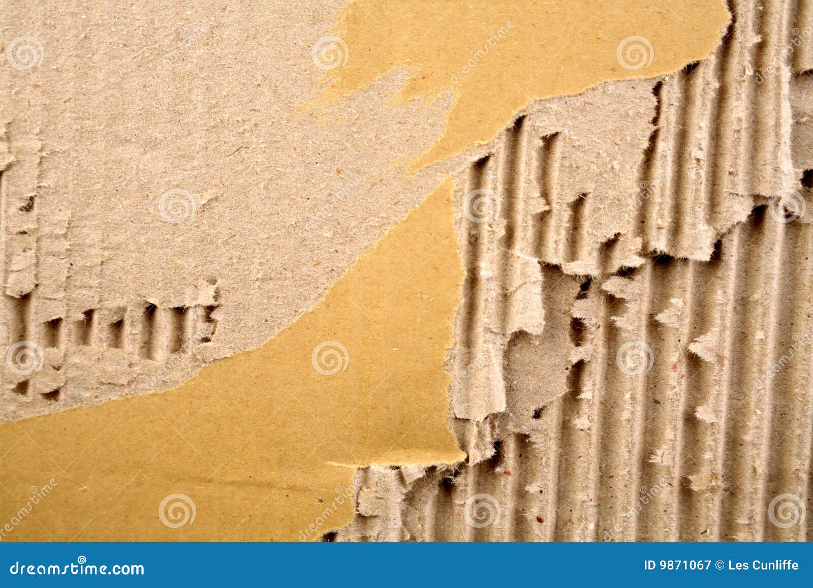 Corrugated cardboard stock image. Image of cardboard, canvas - 9871067