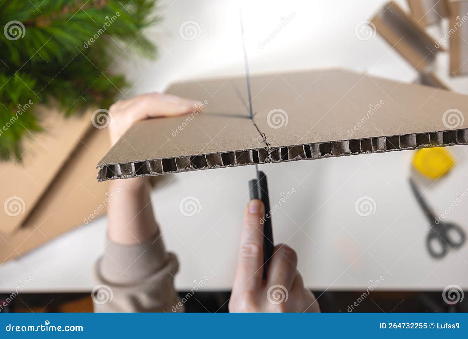 Selective Focus Close-up of a Womans Hands Holding a Knife Cutting ...