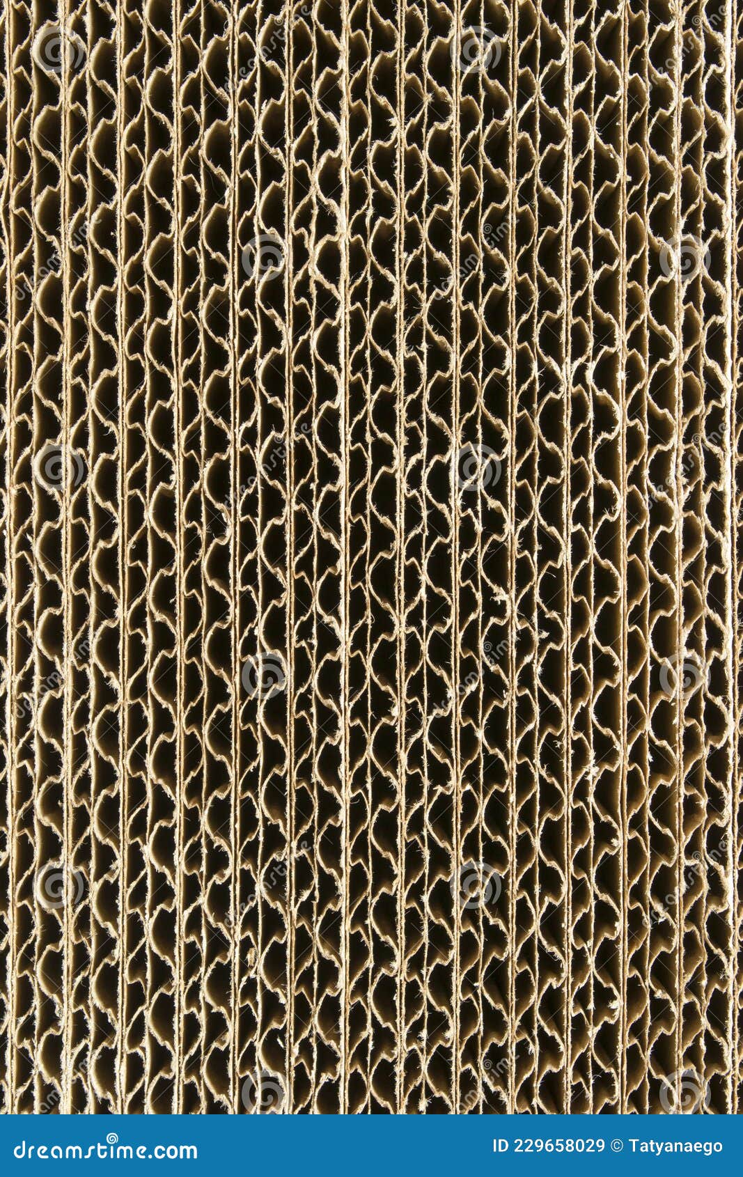 Corrugated Cardboard Texture Stock Image - Image of craft, closeup ...