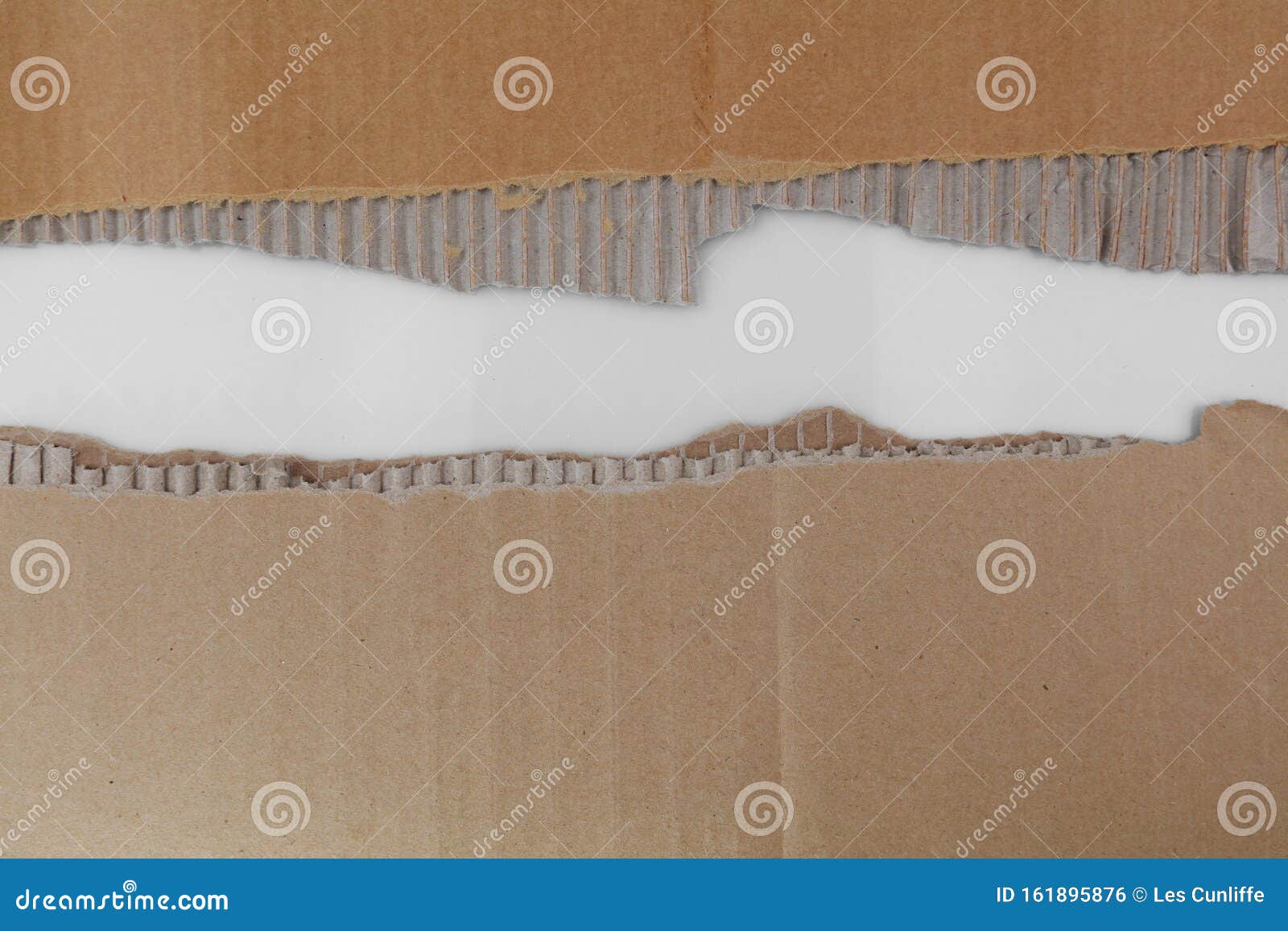 Corrugated Cardboard Torn Edges Stock Photo - Image of edge, edges ...