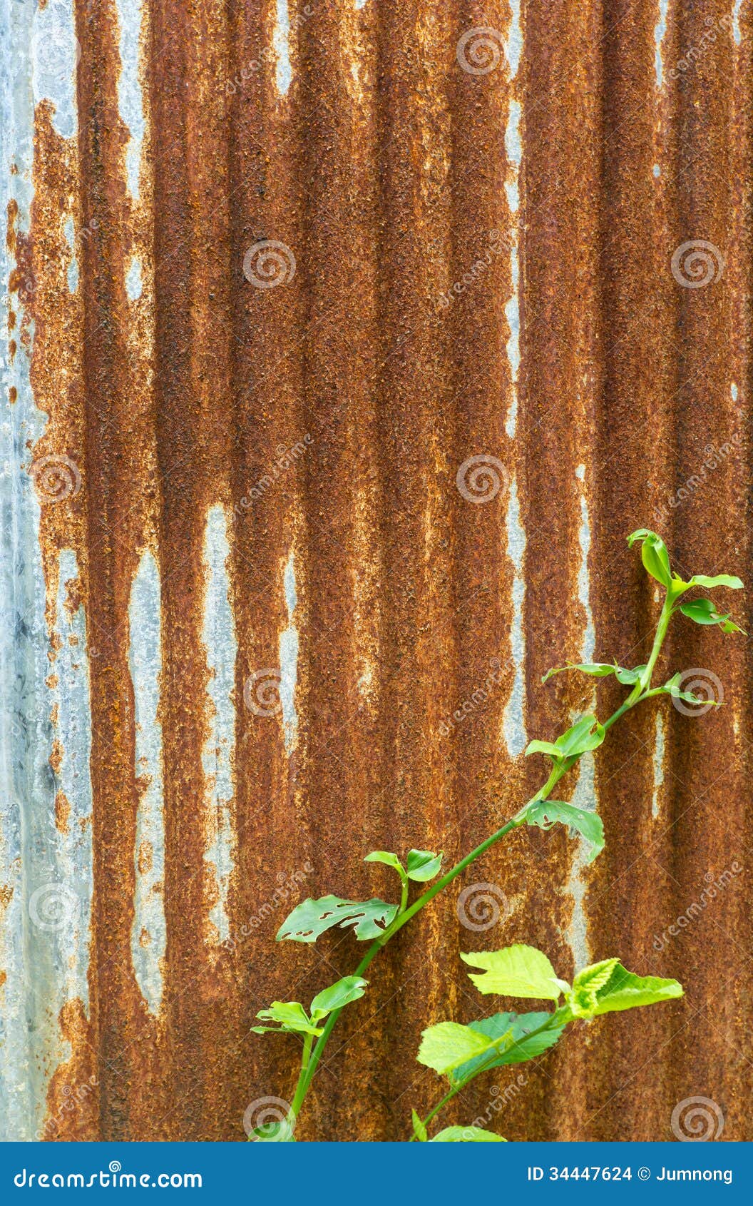 Corrugated Rusty Wall Background Stock Photo | CartoonDealer.com #112381938