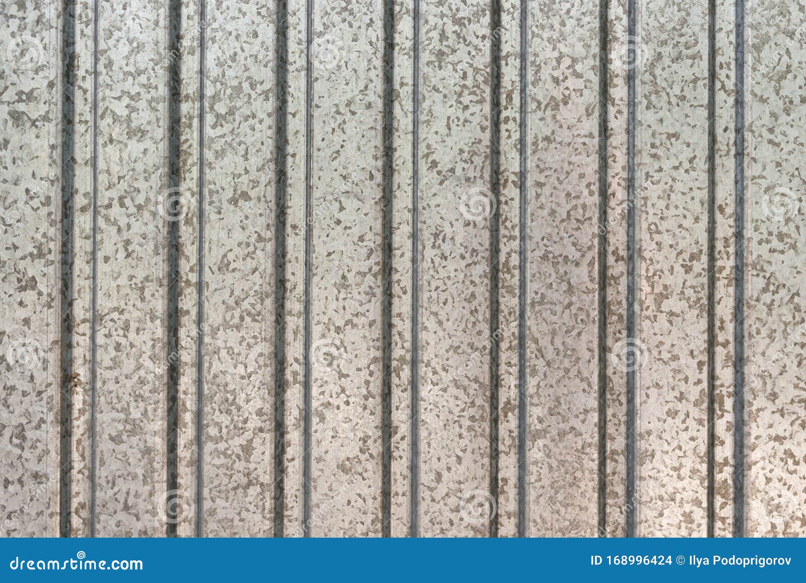 Corrugated Zinc Metal Texture Background. Galvanized Profiled Sheet ...