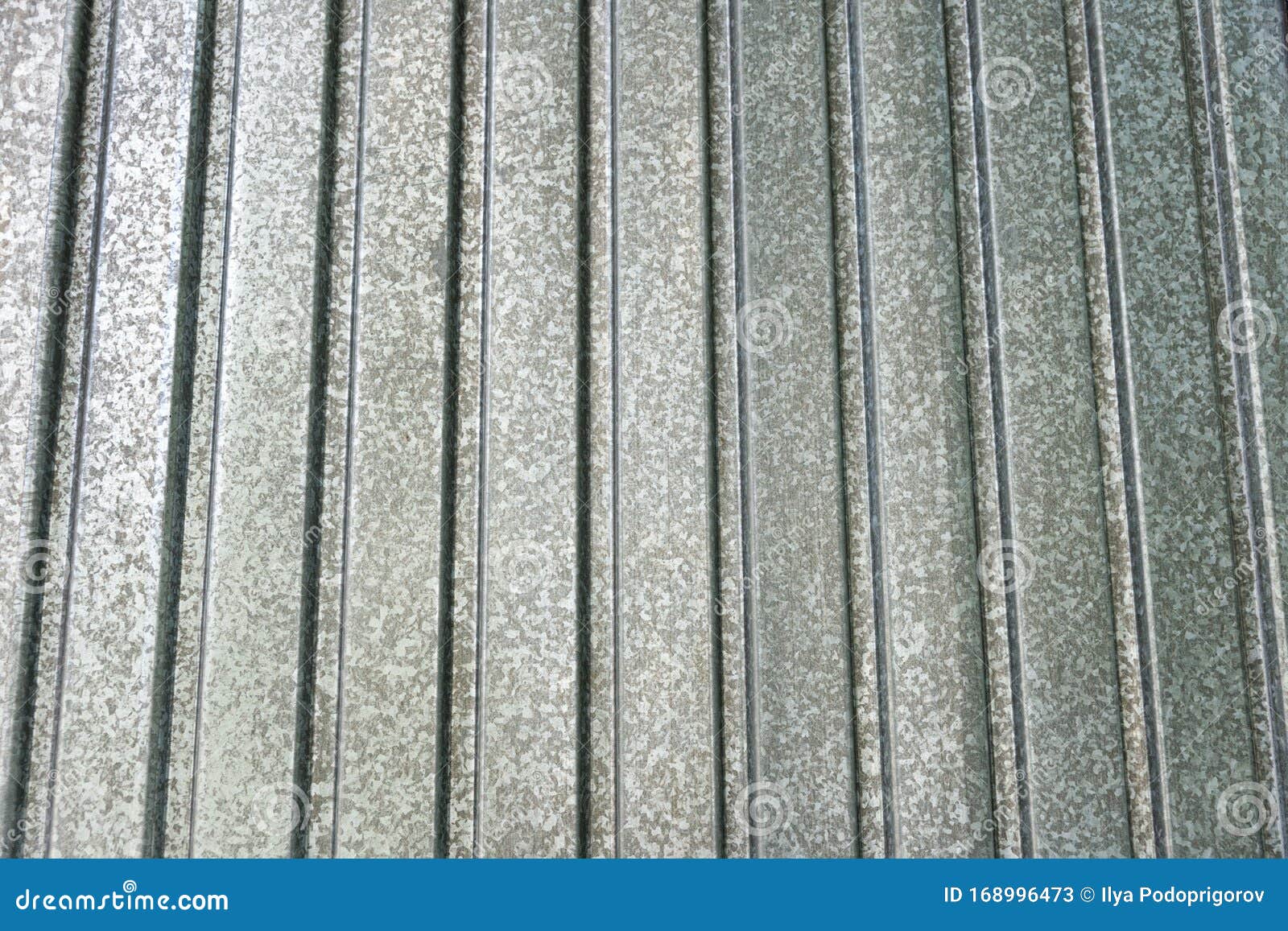 Corrugated Zinc Metal Texture Background. Galvanized Profiled Sheet ...