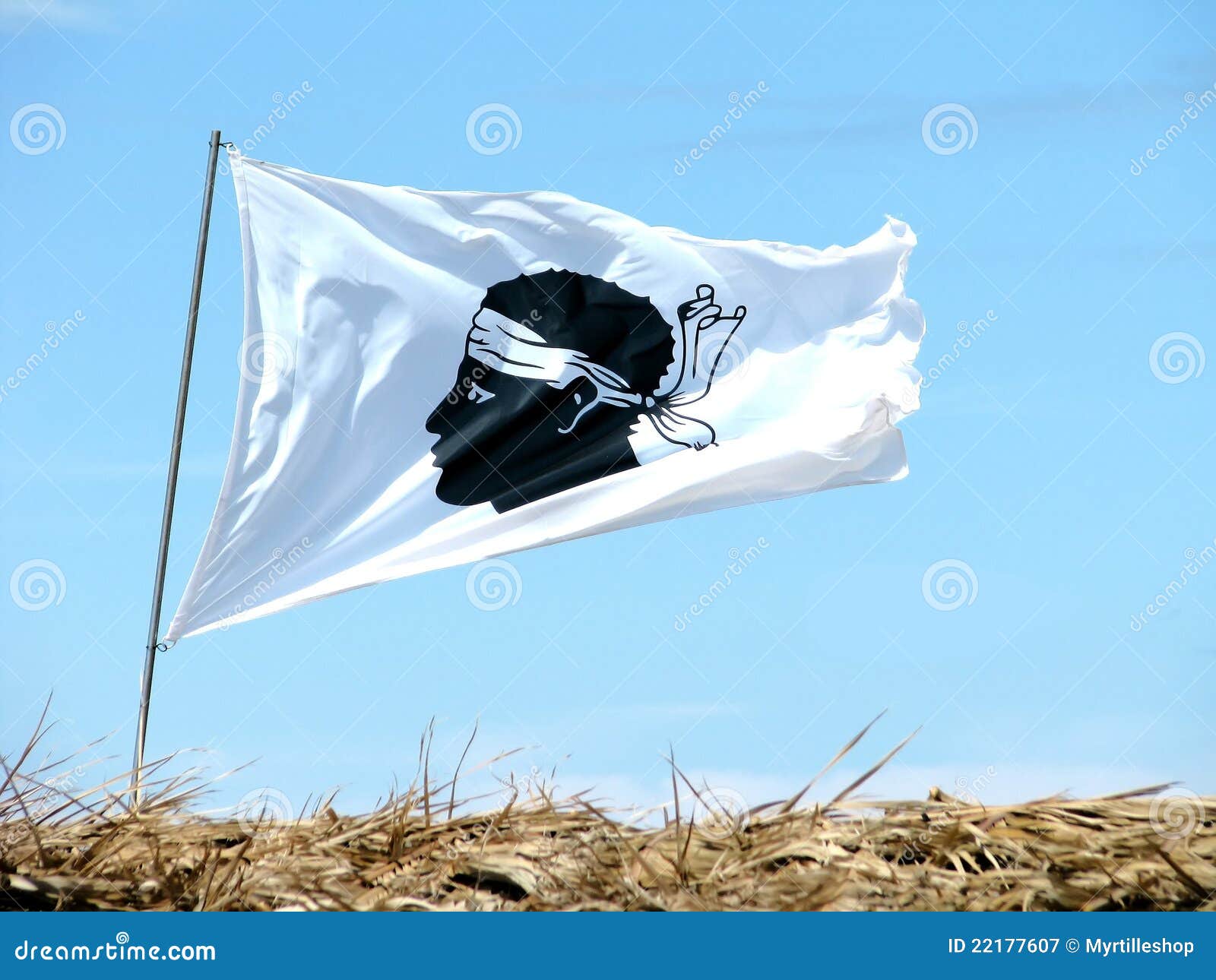 Corsica flag stock image. Image of corsica, france, waving - 22177607