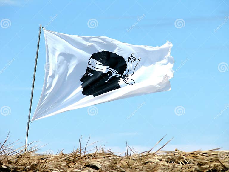 Corsica flag stock image. Image of corsica, france, waving - 22177607