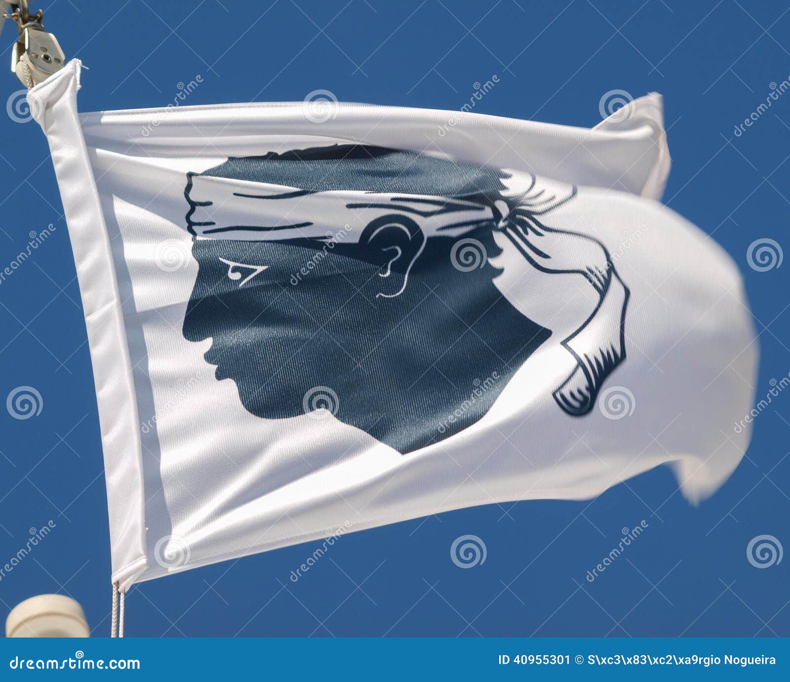 Corsica flag stock image. Image of head, mediterranean - 40955301