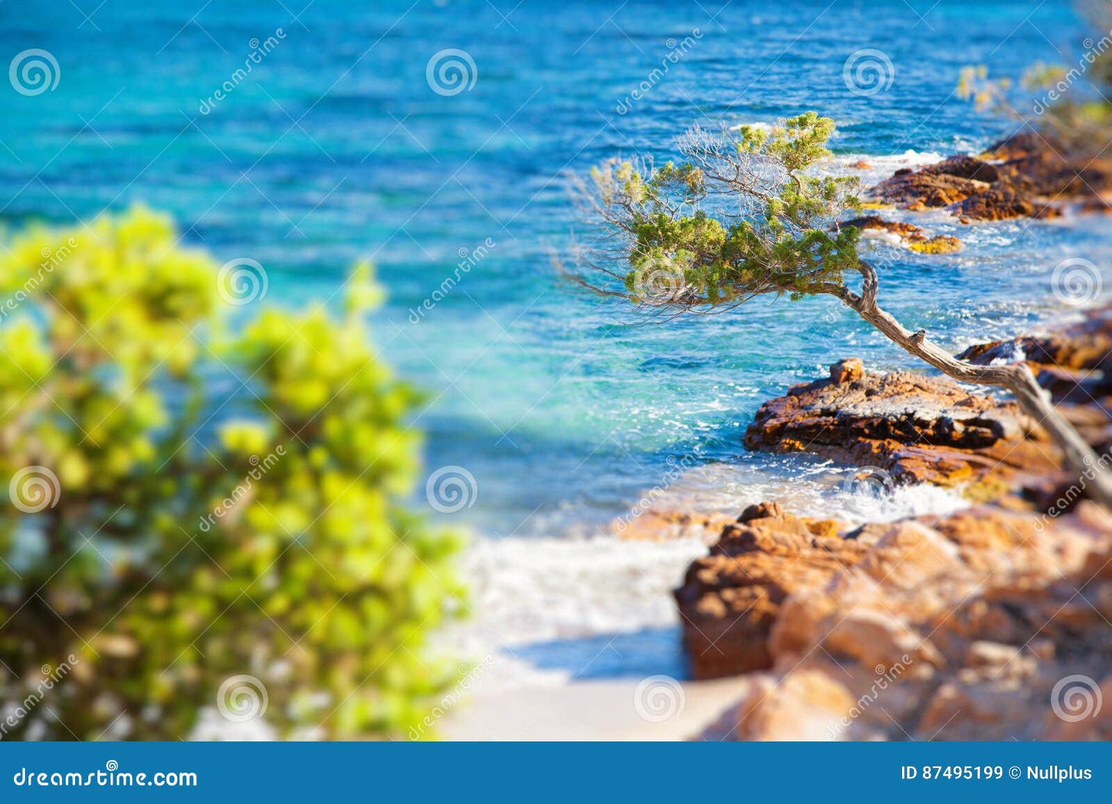 Corsican Beach in Spring stock image. Image of summer - 87495199