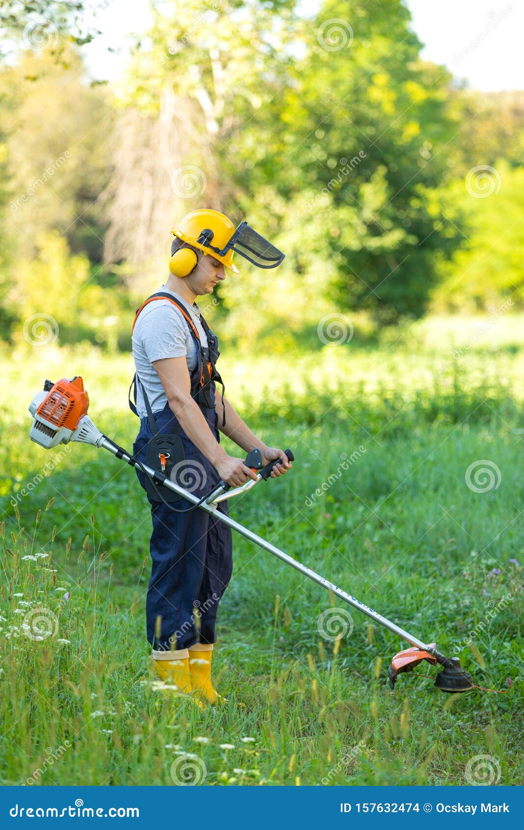 Cortando pasto foto de archivo. Imagen de exterior, cubo - 157632474