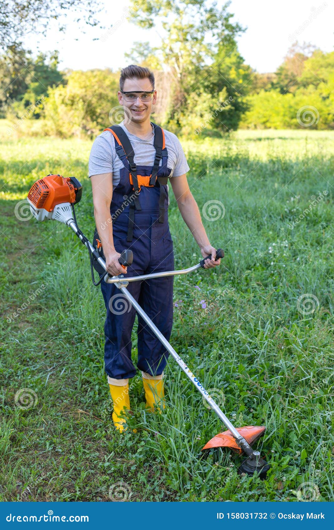 Cortando pasto foto de archivo. Imagen de paisajismo - 158031732