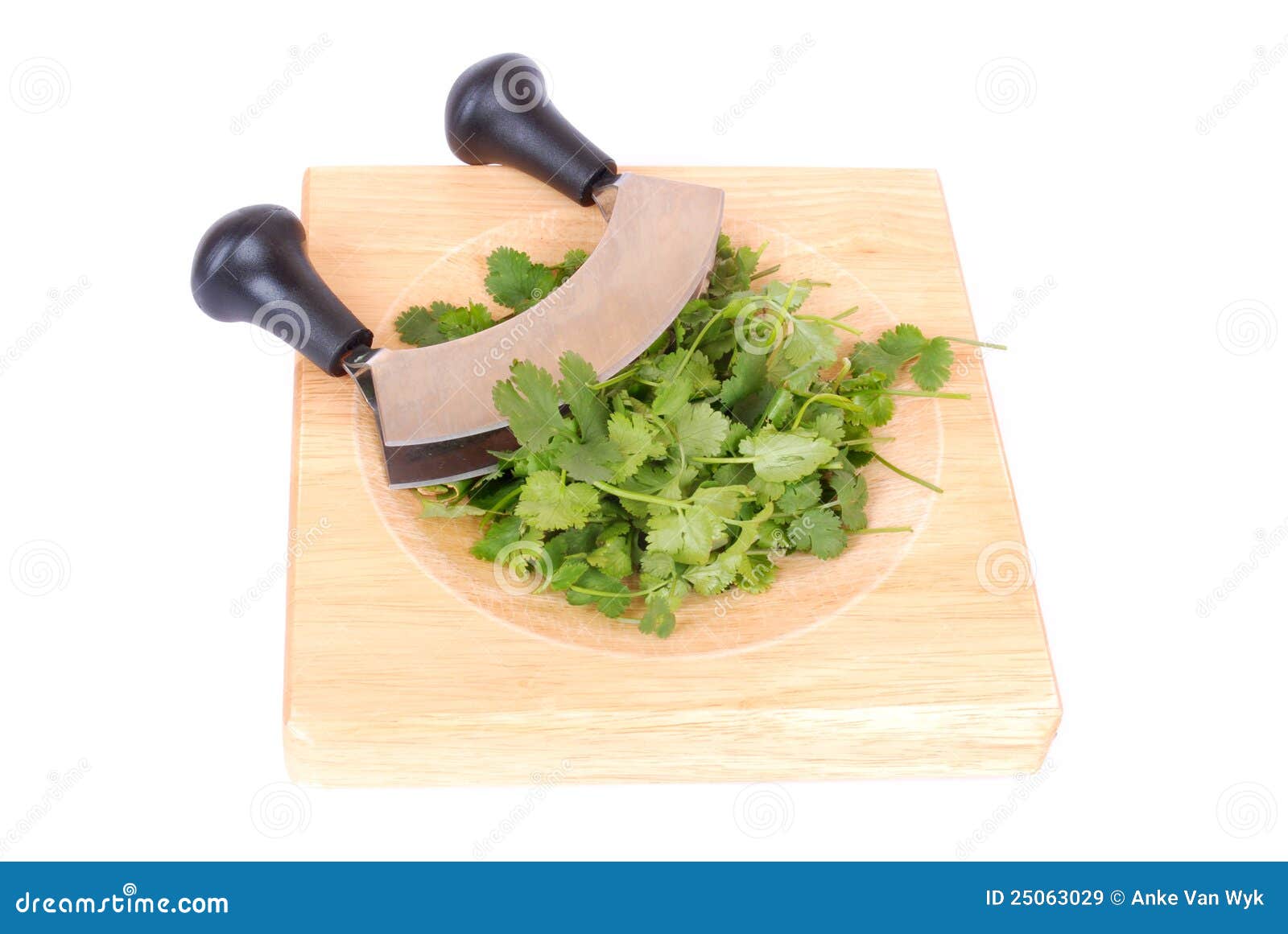 Cortar el cilantro fresco imagen de archivo. Imagen de sano - 25063029