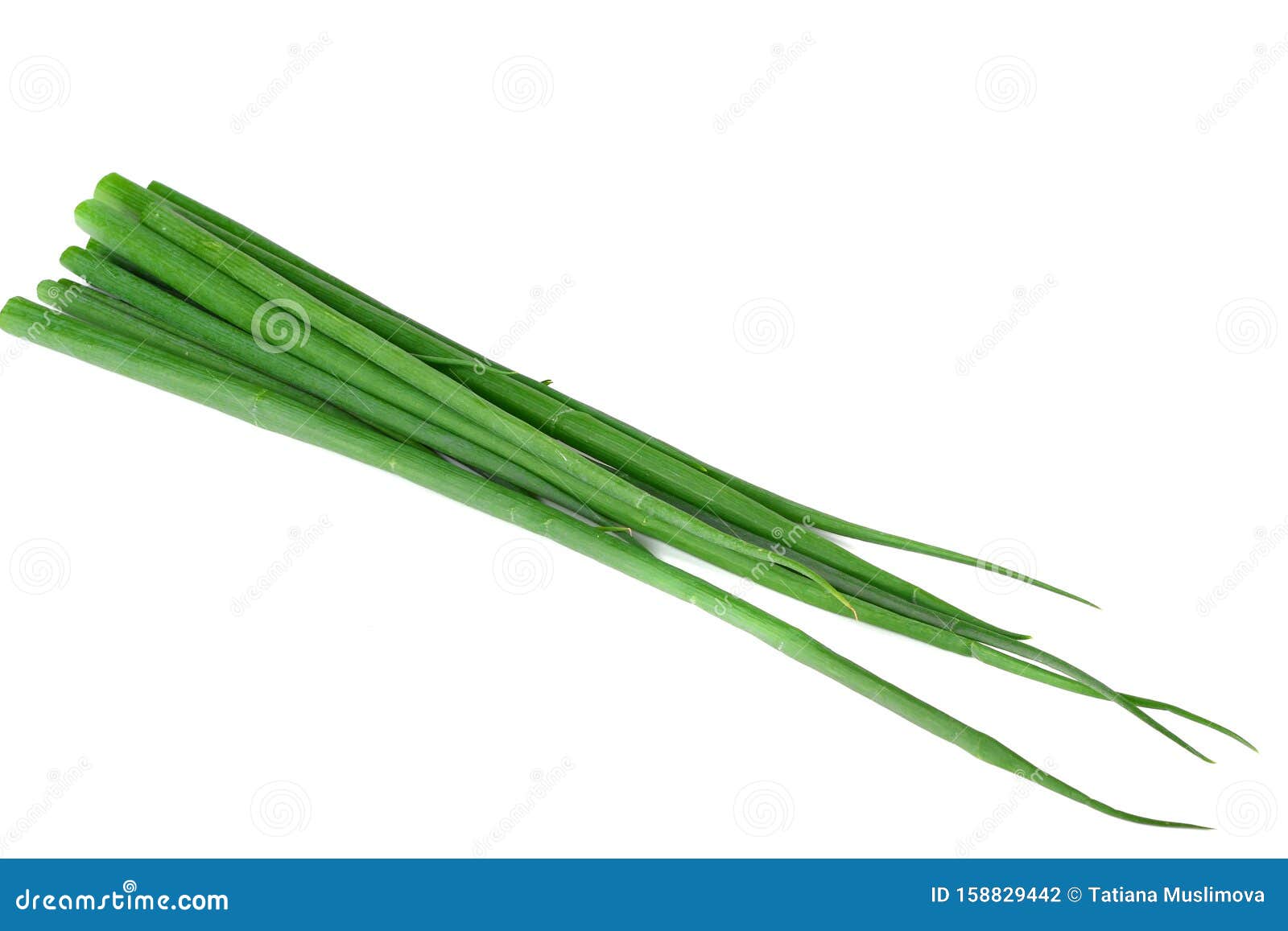 Corte De Cebola Verde Isolada Sobre Fundo Branco Foto de Stock - Imagem ...