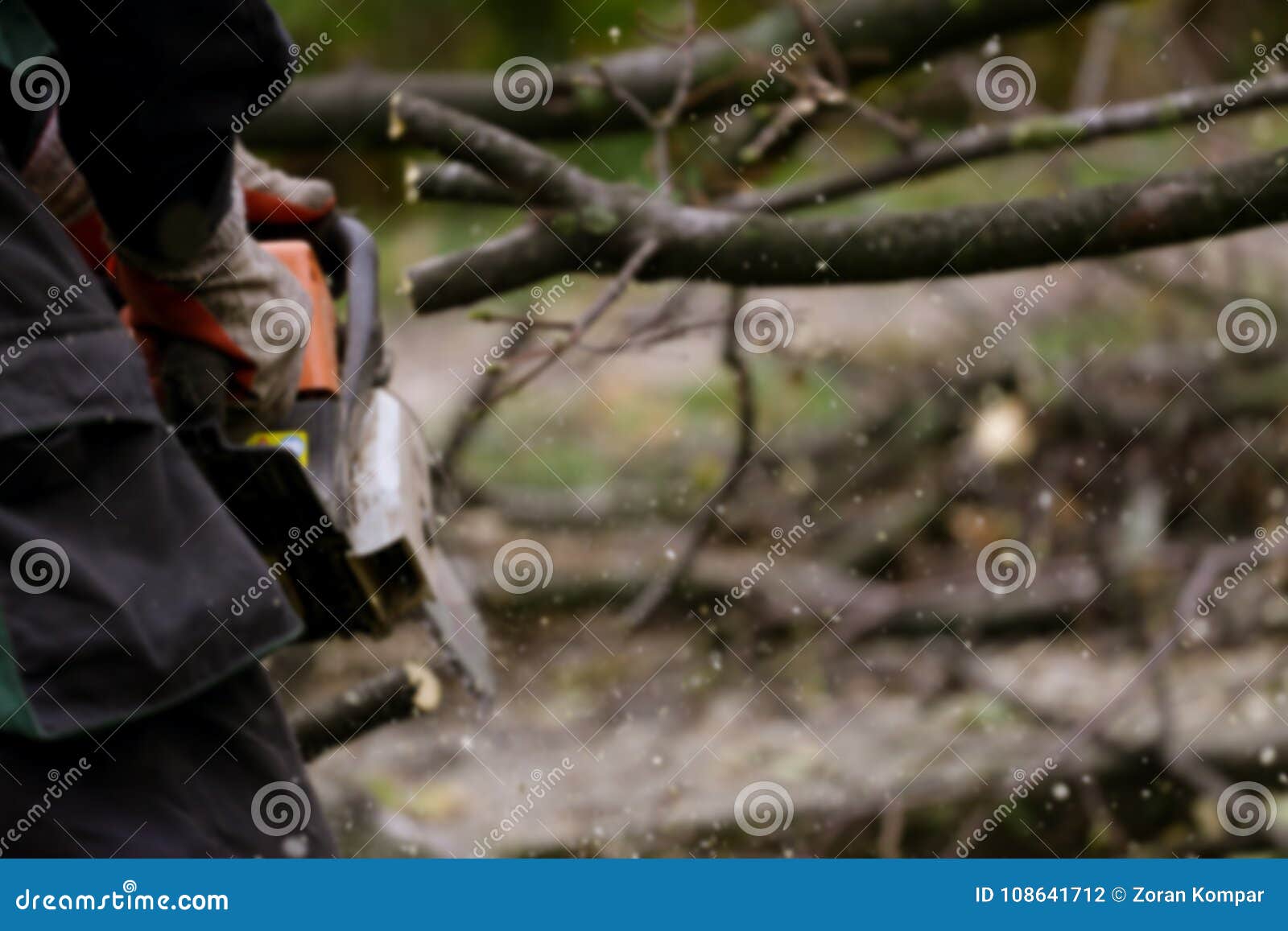 Corte de la rama foto de archivo. Imagen de potencia - 108641712