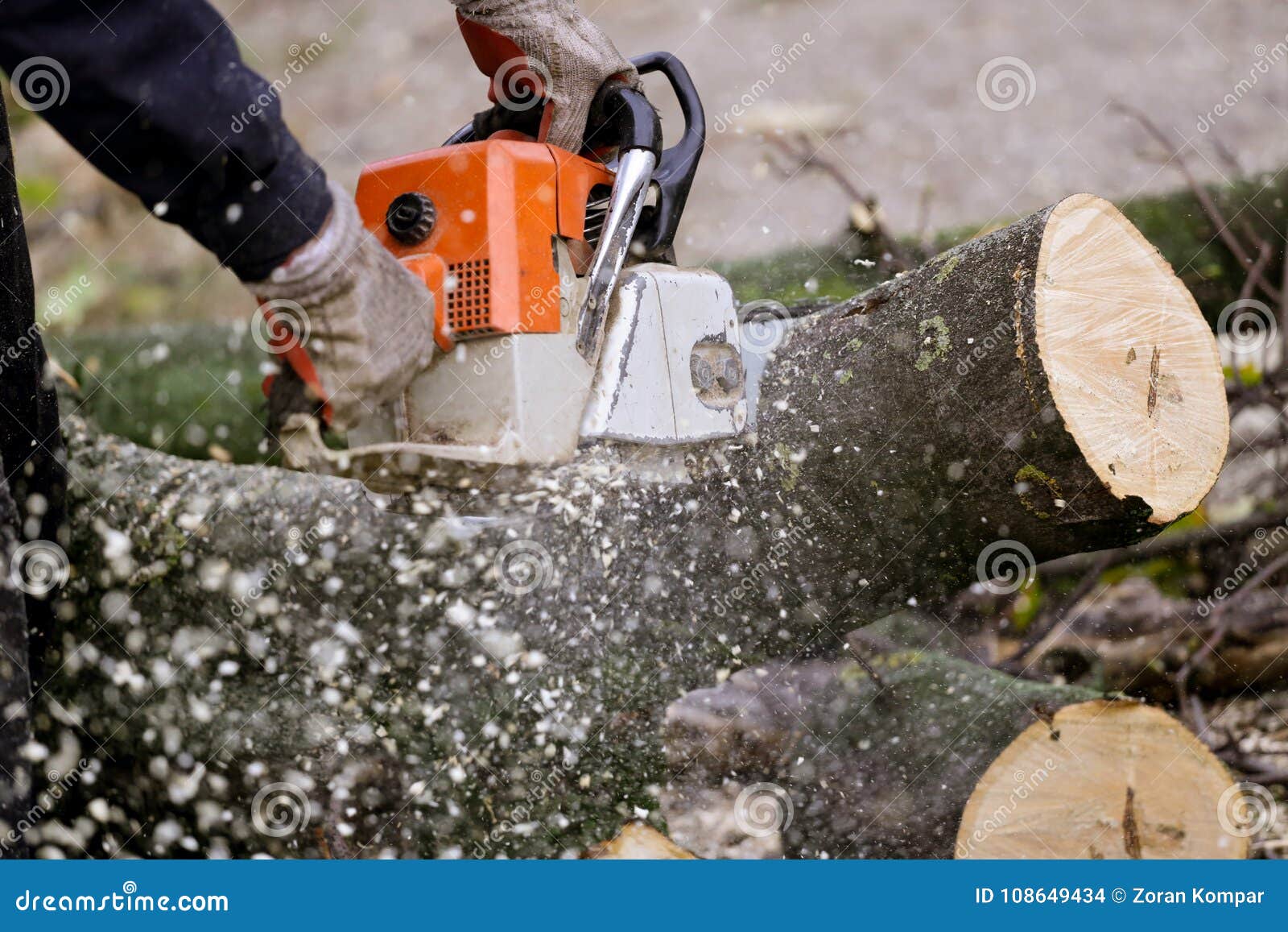 Corte de la rama foto de archivo. Imagen de industria - 108649434