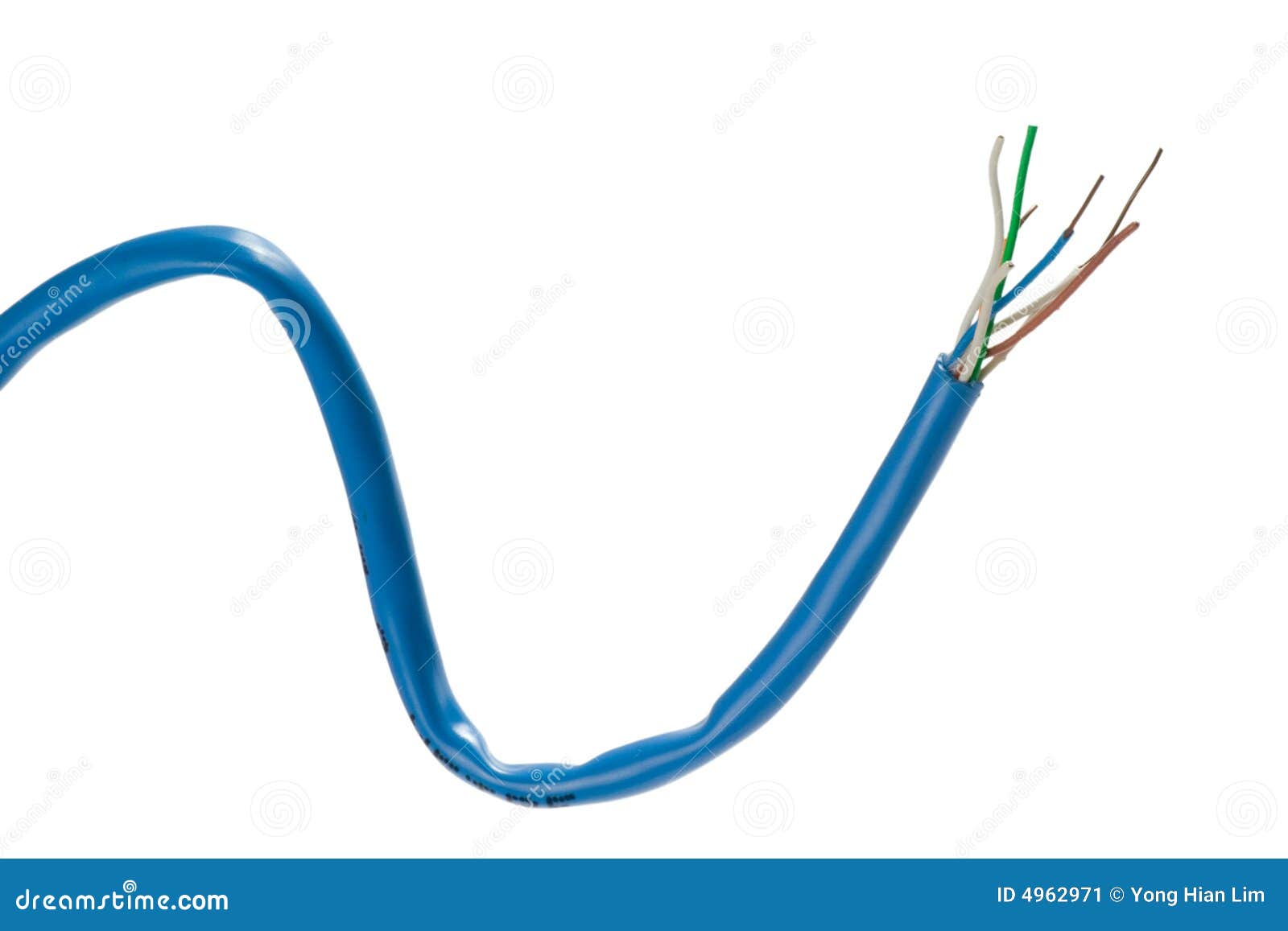 Corte del cable de la red imagen de archivo. Imagen de blanco - 4962971