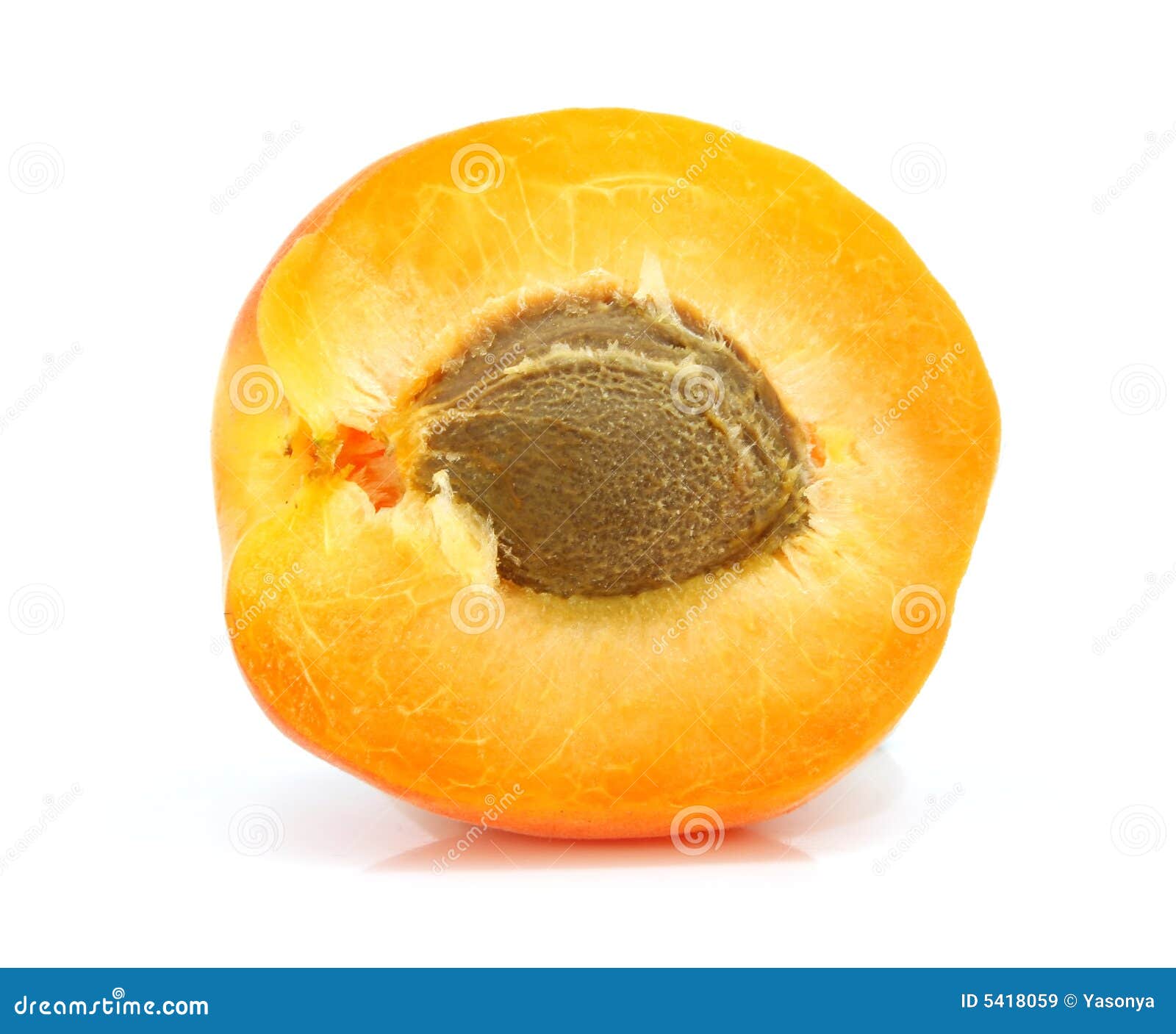 Corte Fresco Das Frutas Do Alperce Isolado Imagem de Stock - Imagem de ...