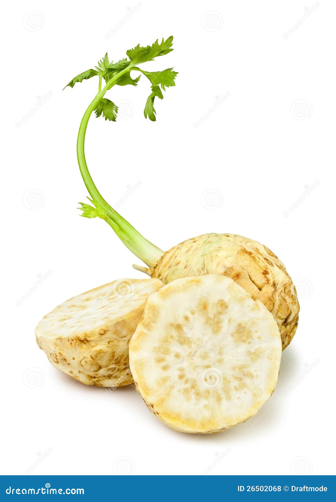 Corte la raíz de apio foto de archivo. Imagen de sano - 26502068