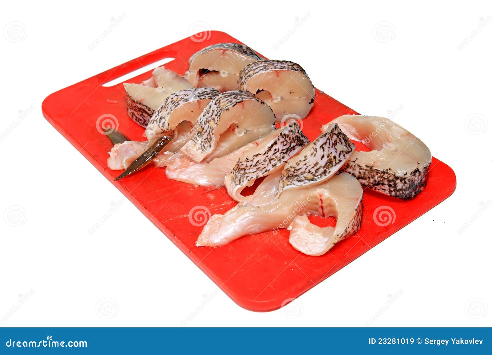 Corte peixes imagem de stock. Imagem de pique, animal - 23281019