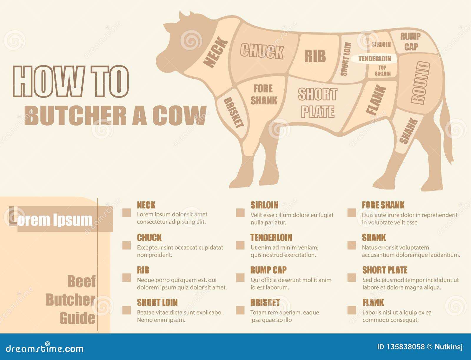 Cortes Del Diagrama De La Carne De Vaca Ilustración del Vector ...