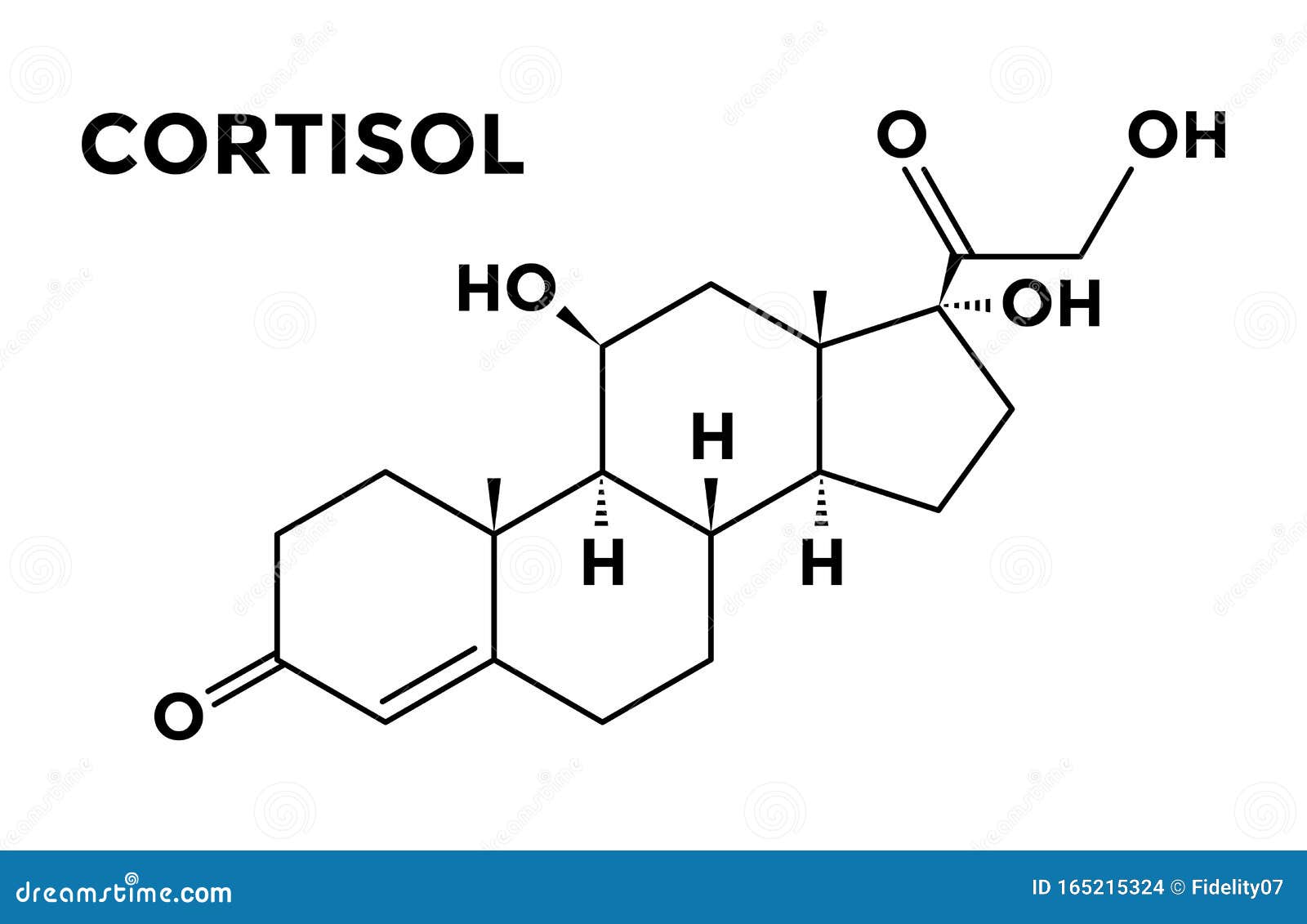 Cortisol Adrenal Hormone Structural Chemical Formula Stock Illustration Illustration Of Cortex