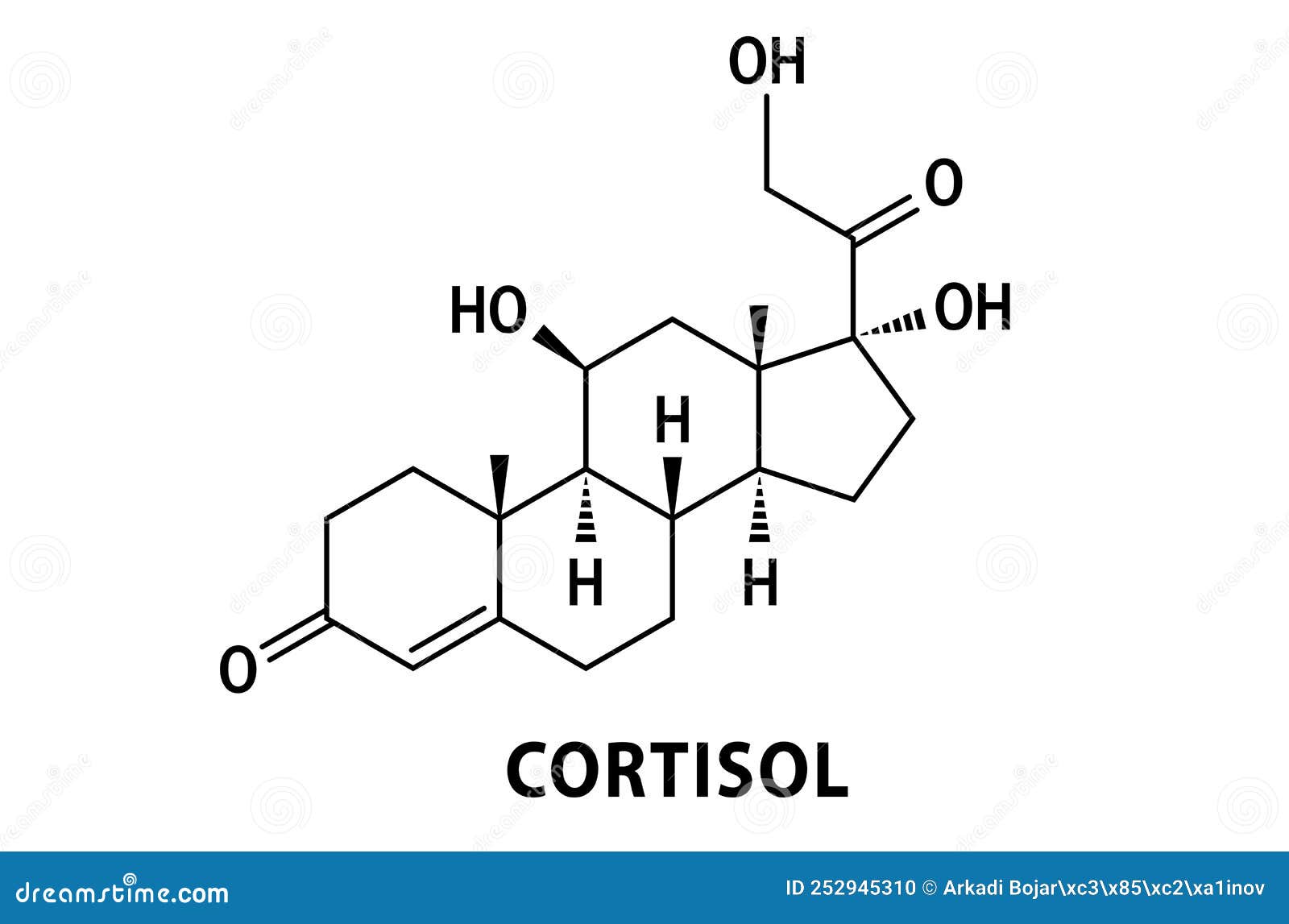 Cortisol Structure