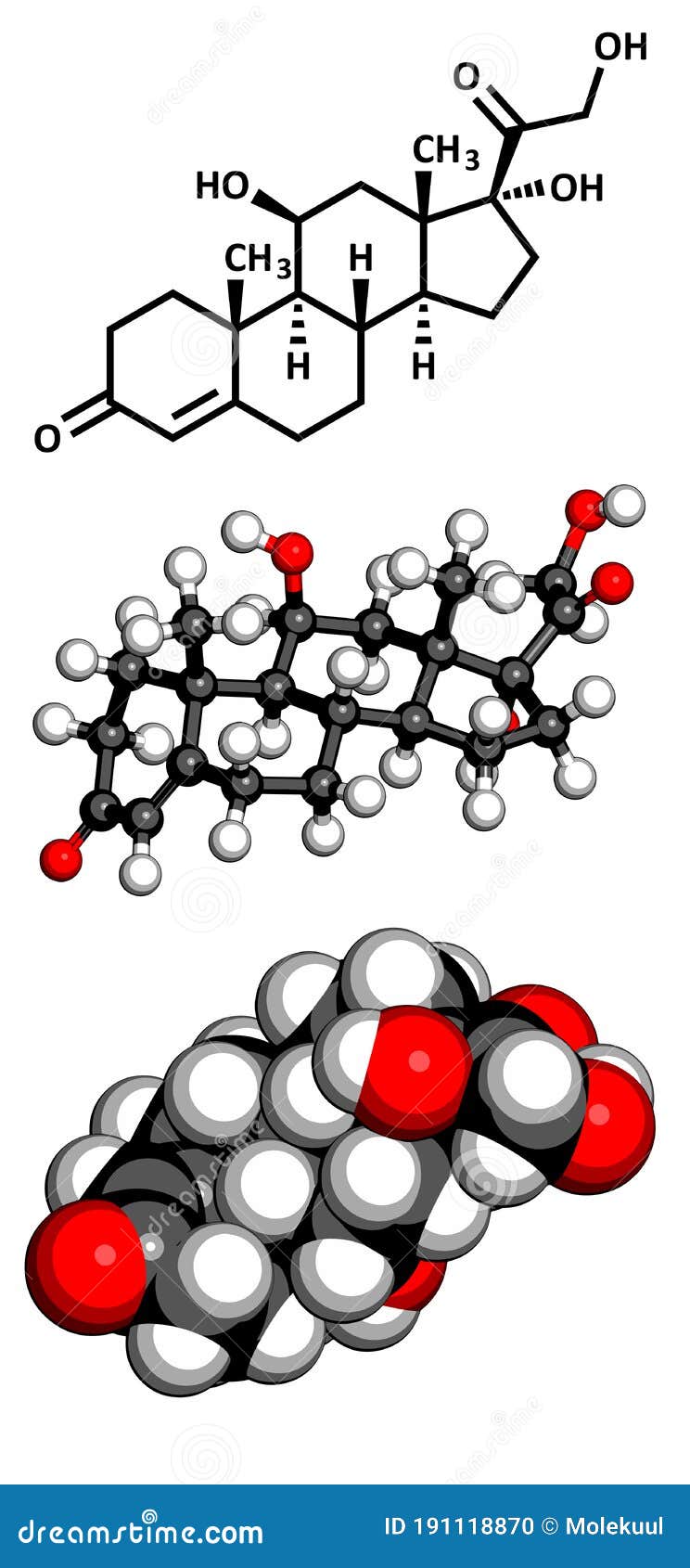 Cortisol (hydrocortisone) Stress Hormone, Molecular Model Stock Vector ...