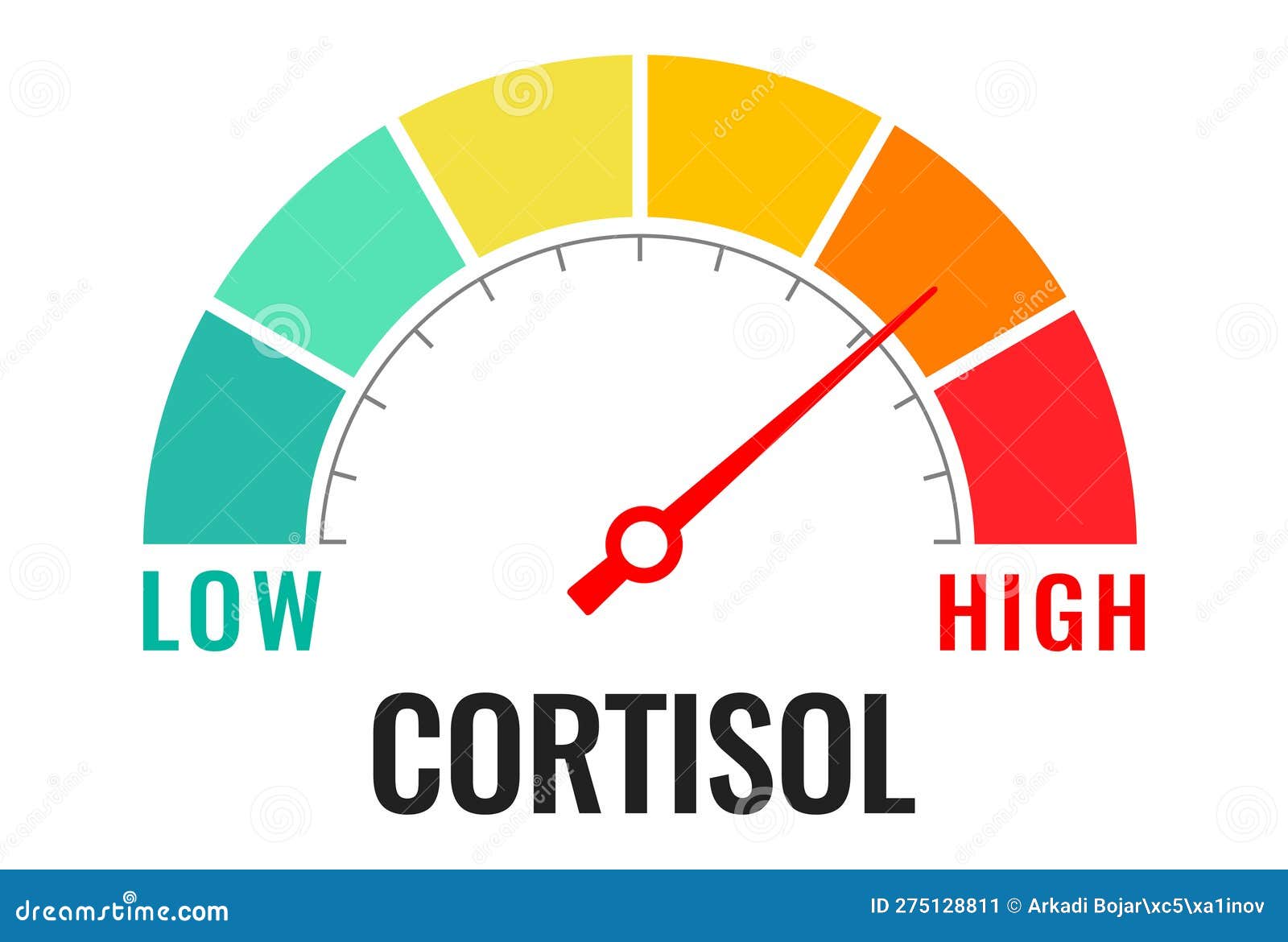 Cortisol Meter Vertical Scale. Body Stress Response Levels Chart From ...