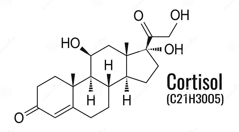 Cortisol Molecule, Vector Chemical Formula Stock Vector - Illustration ...