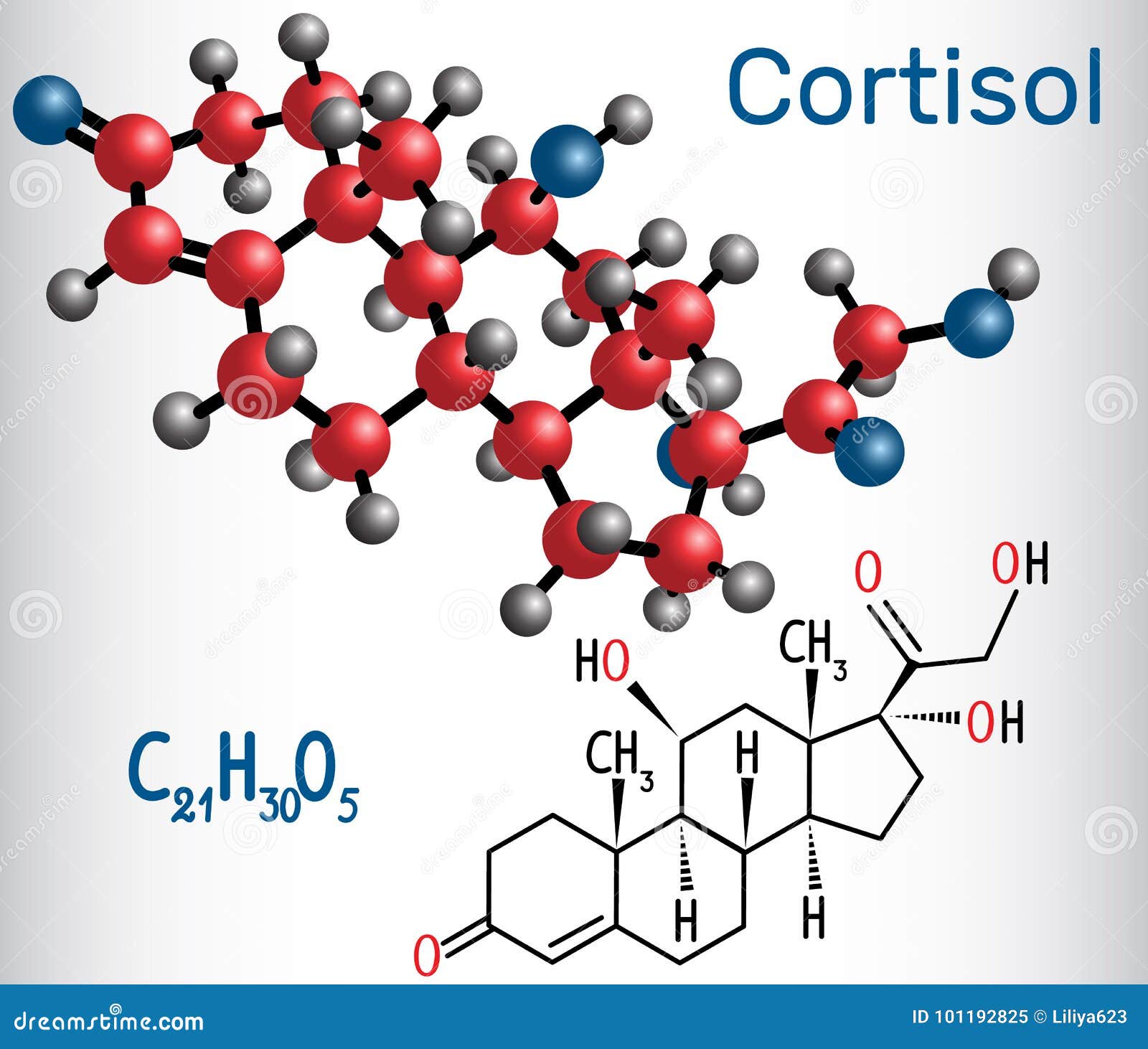 Cortisol. Chemical Structural Formula And Model Of Hormone Molecule ...