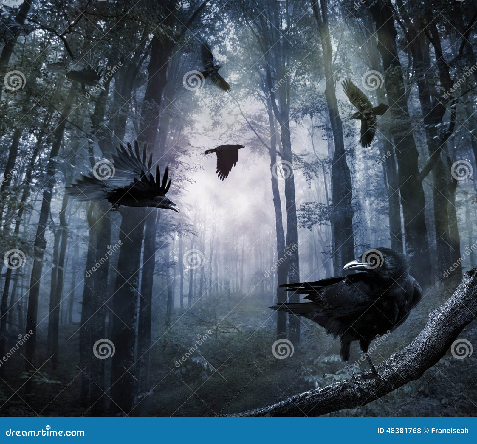 Corvi nella foresta fotografia stock. Immagine di piante - 48381768