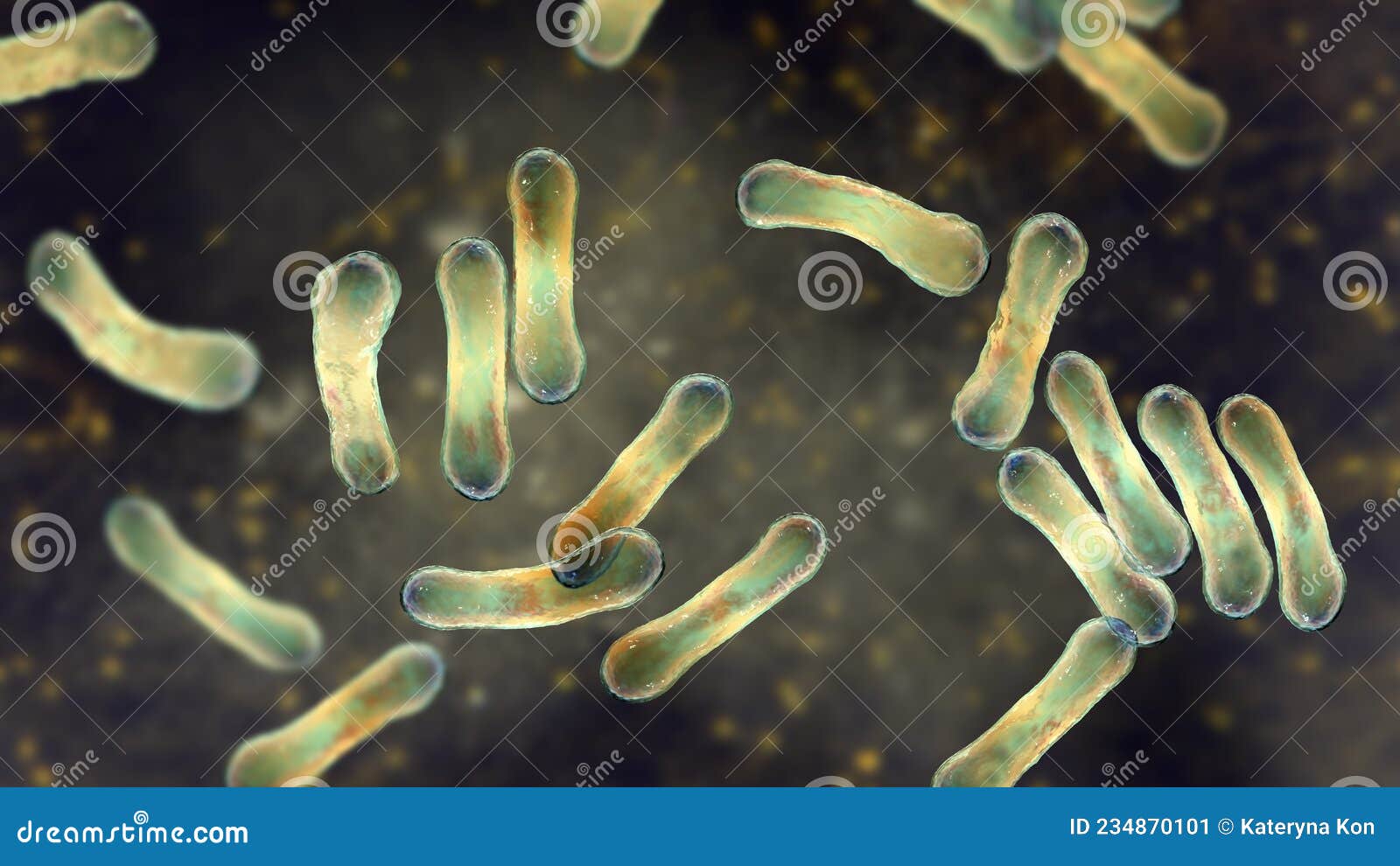 Corynebacterium Bacteria, Gram-positive Rod-shaped Bacterium that ...