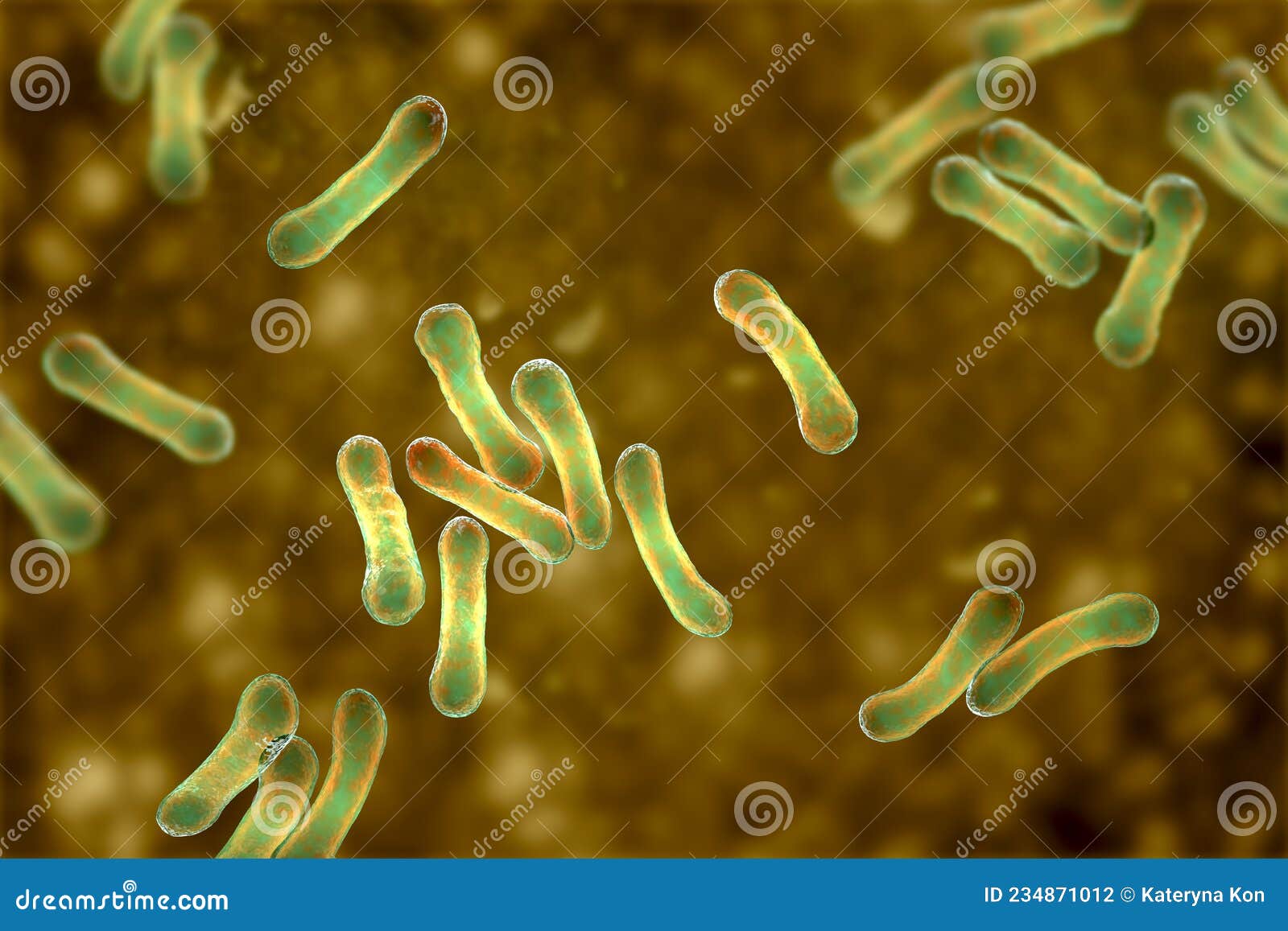 Corynebacterium Bacteria, Gram-positive Rod-shaped Bacterium That ...
