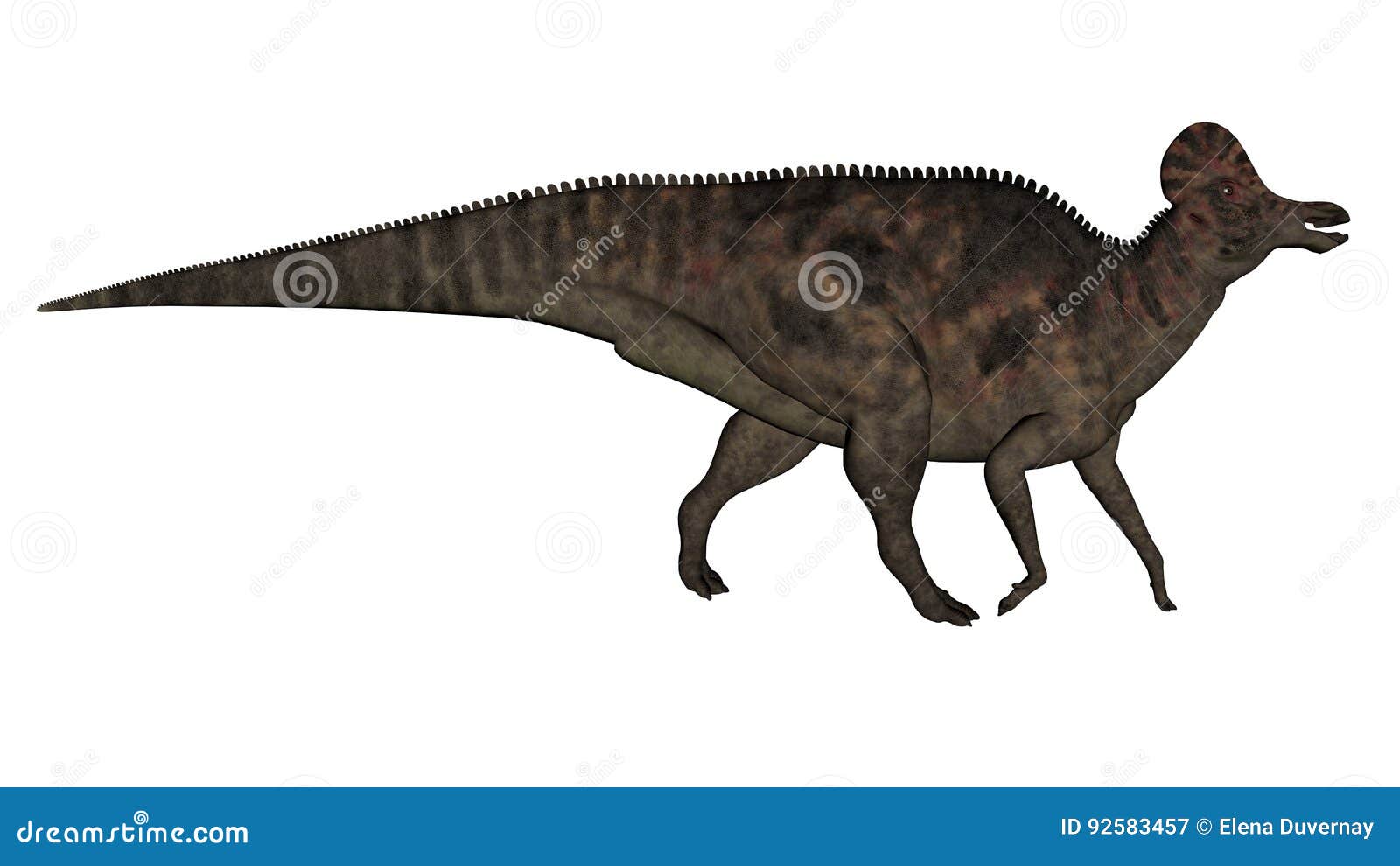 Corythosaurus Dinosaur - 3D Render Stock Illustration - Illustration of ...
