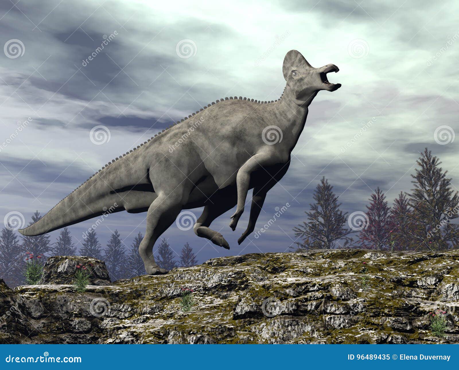 Corythosaurus Dinosaur - 3D Render Stock Illustration - Illustration of ...